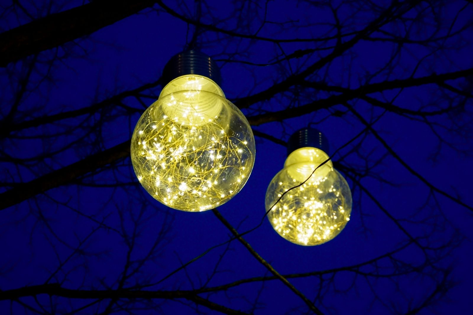 Bulb On & Off Photos, Download The BEST Free Bulb On & Off Stock Photos ...