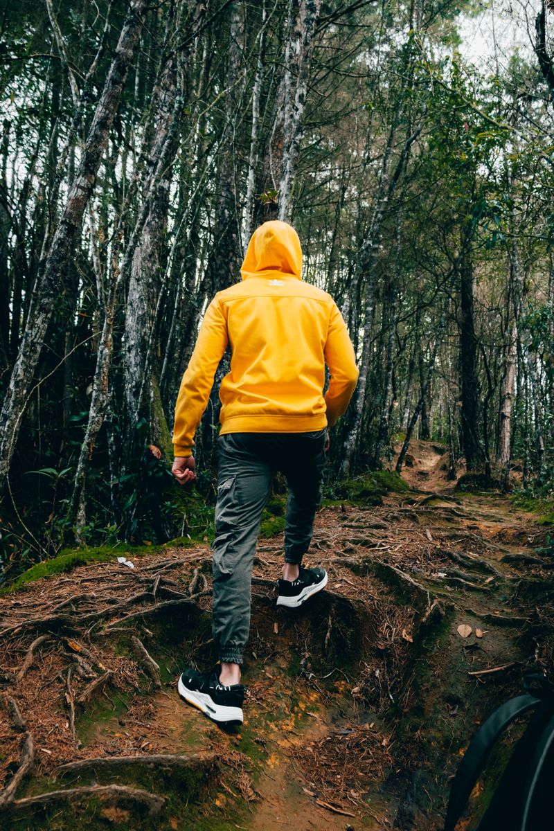 Man Walking Forest Photos, Download The BEST Free Man Walking Forest ...