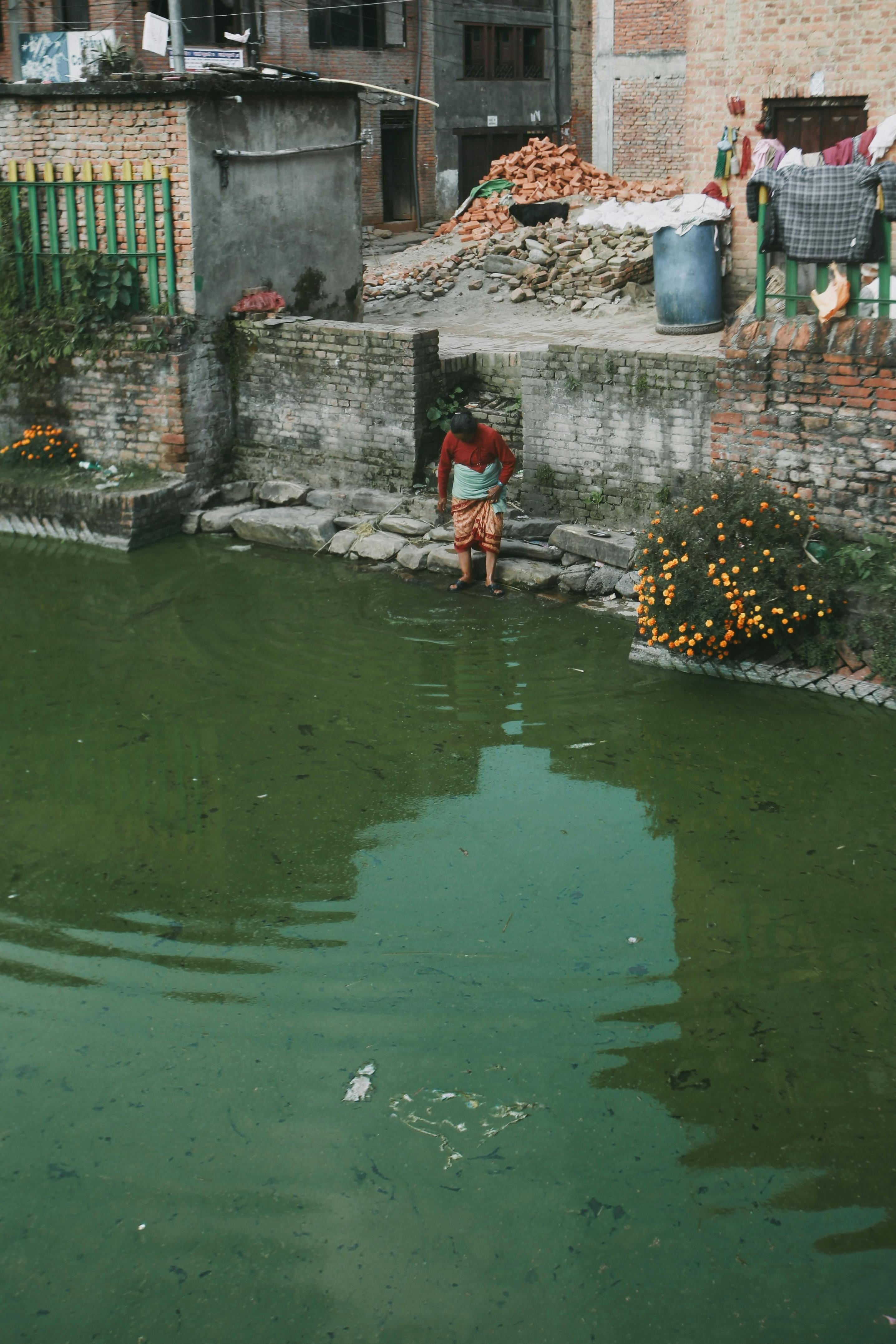 Jeb Bush Please Clap Photos, Download The BEST Free Jeb Bush Please ...