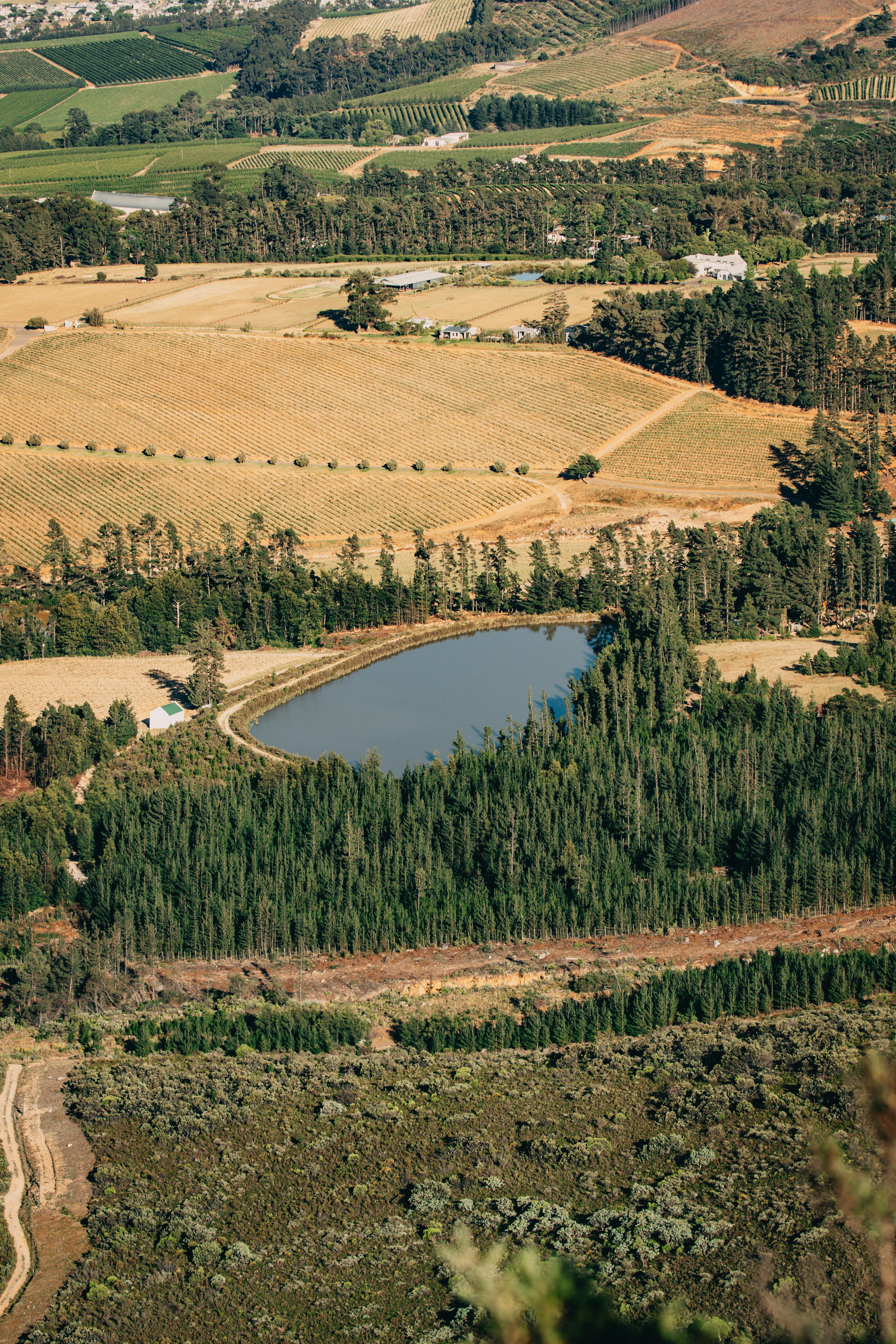 Aerial Photo of a Rural Landscape with a Pond among Fields · Free Stock ...