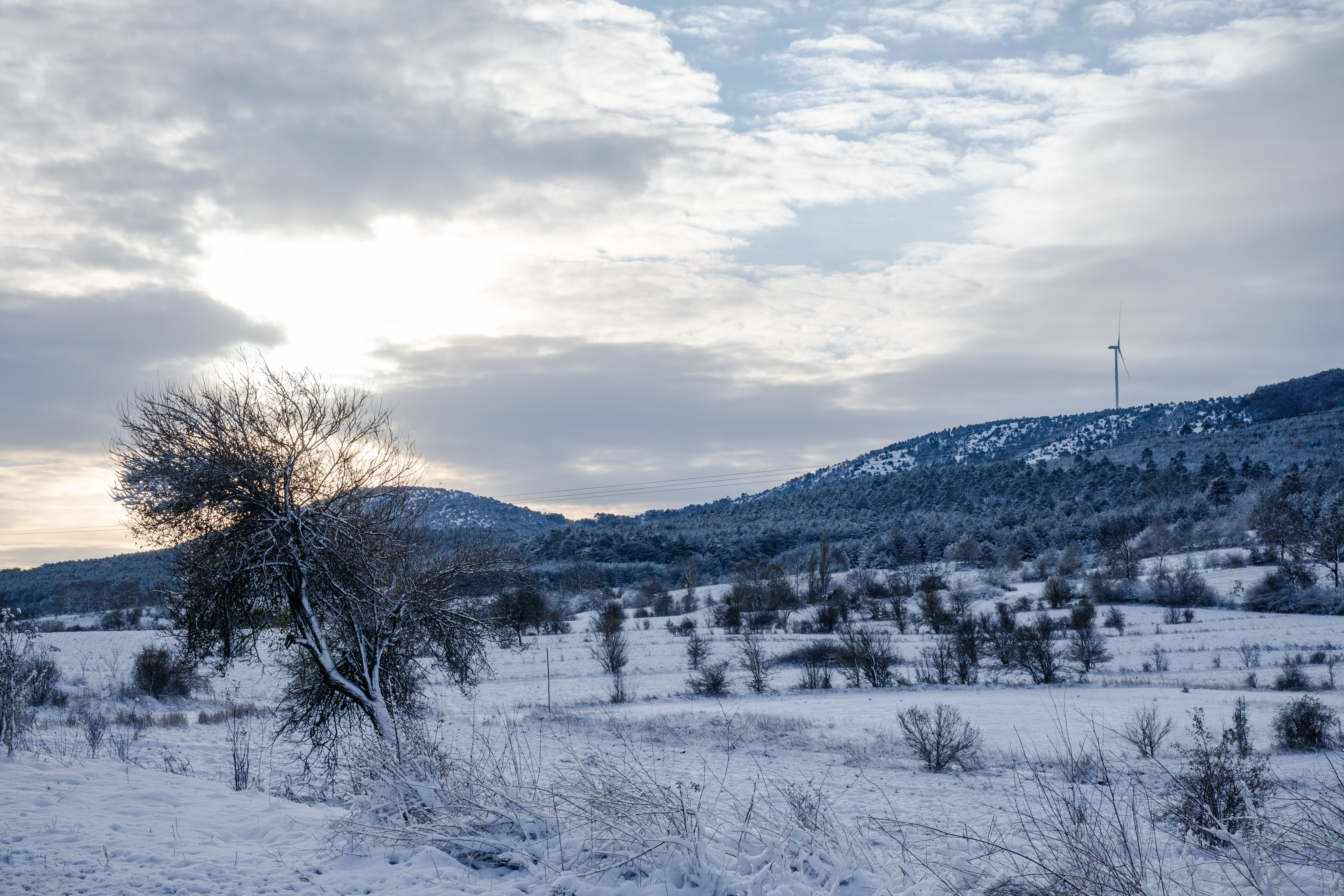 Trees and Hills in Snow in Countryside · Free Stock Photo