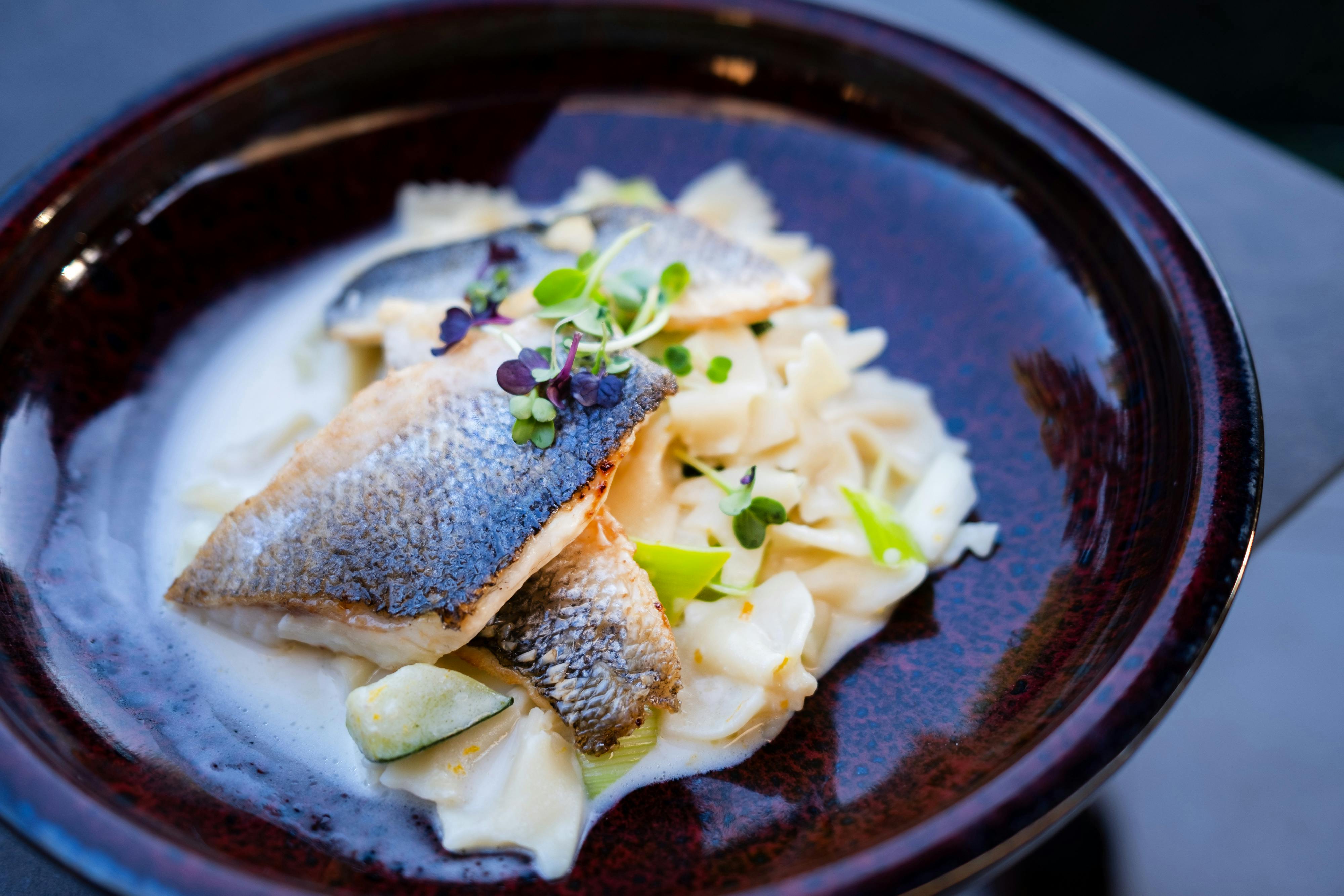 Fish Plate Photos, Download The BEST Free Fish Plate Stock Photos & HD ...