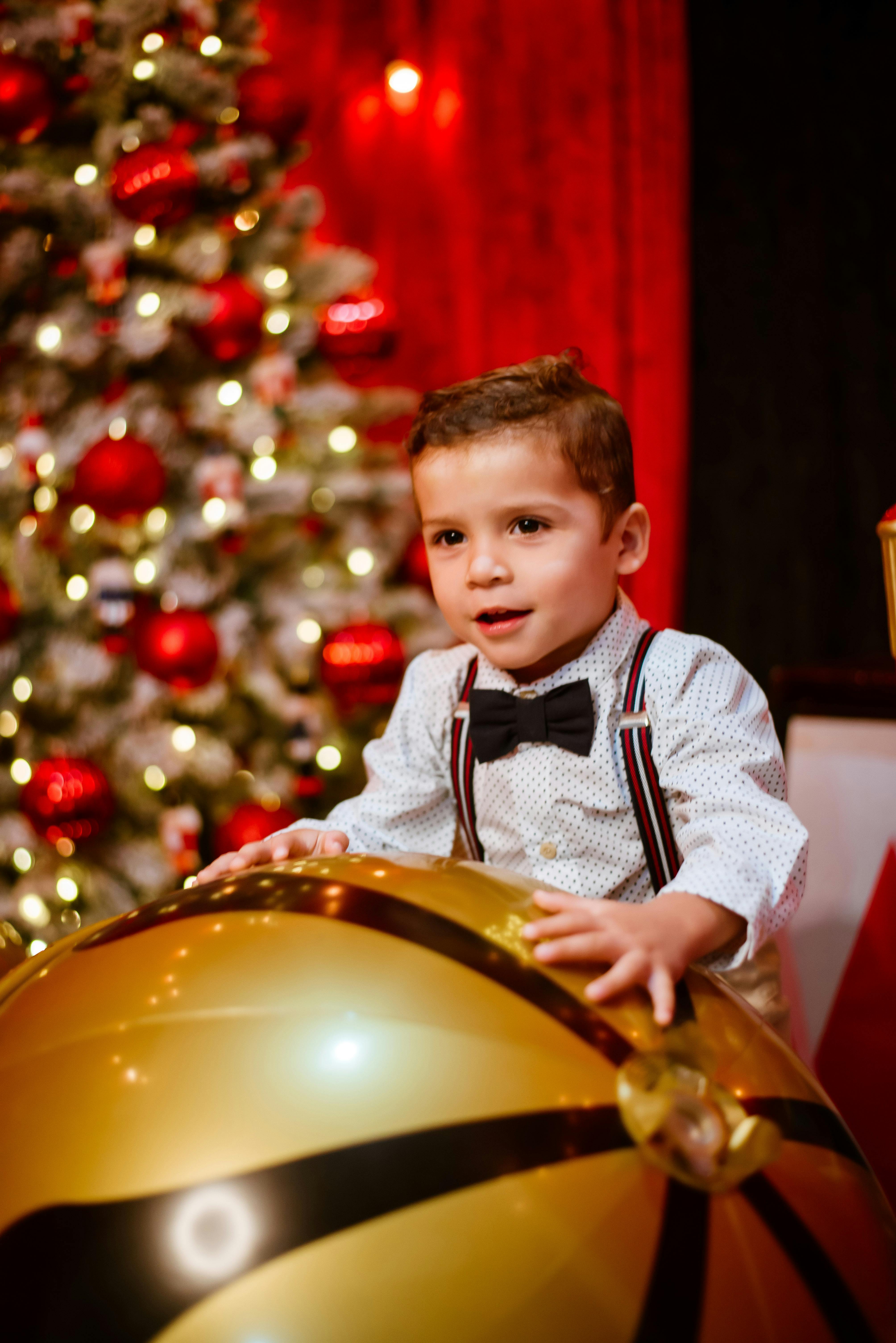 Little Boy in a Forest · Free Stock Photo