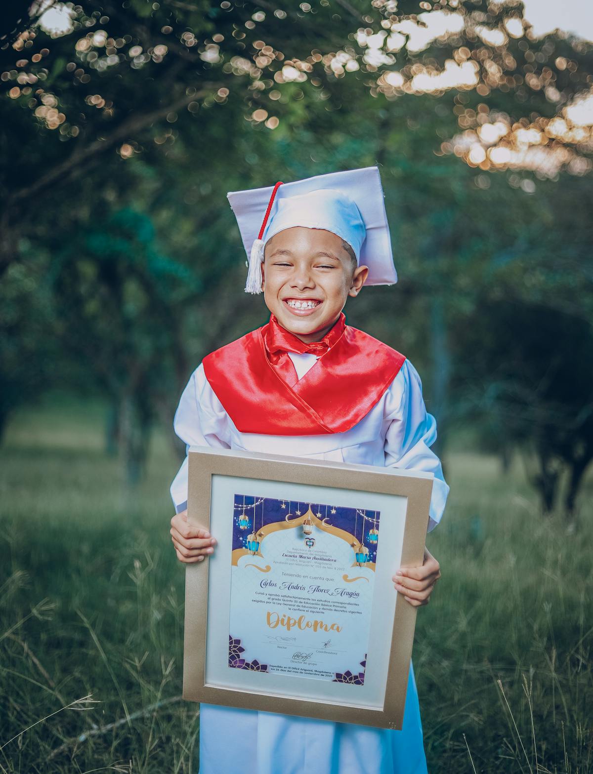Diploma Photos, Download The BEST Free Diploma Stock Photos & HD Images