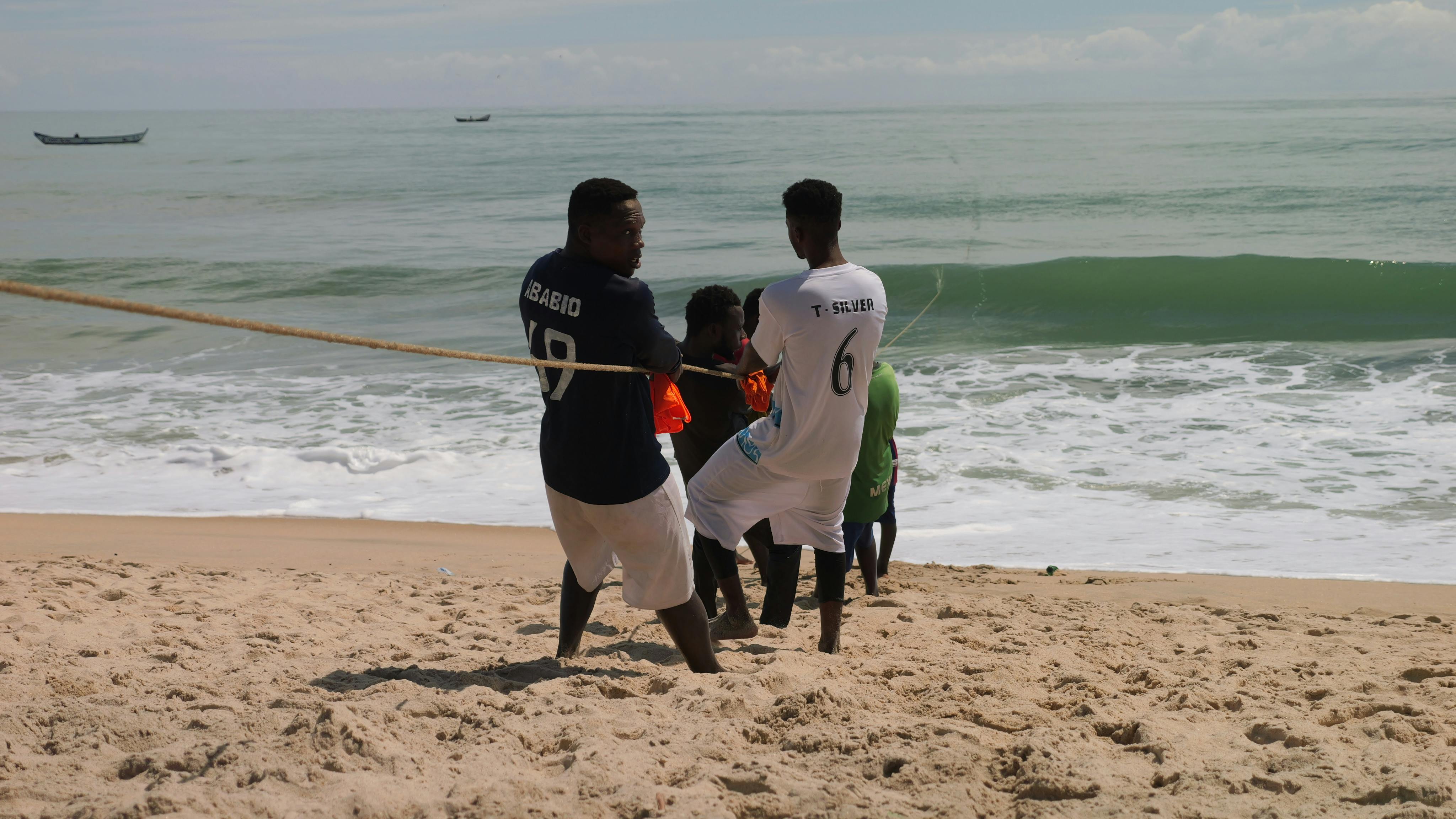 Pulling Photos, Download The BEST Free Pulling Stock Photos & HD Images