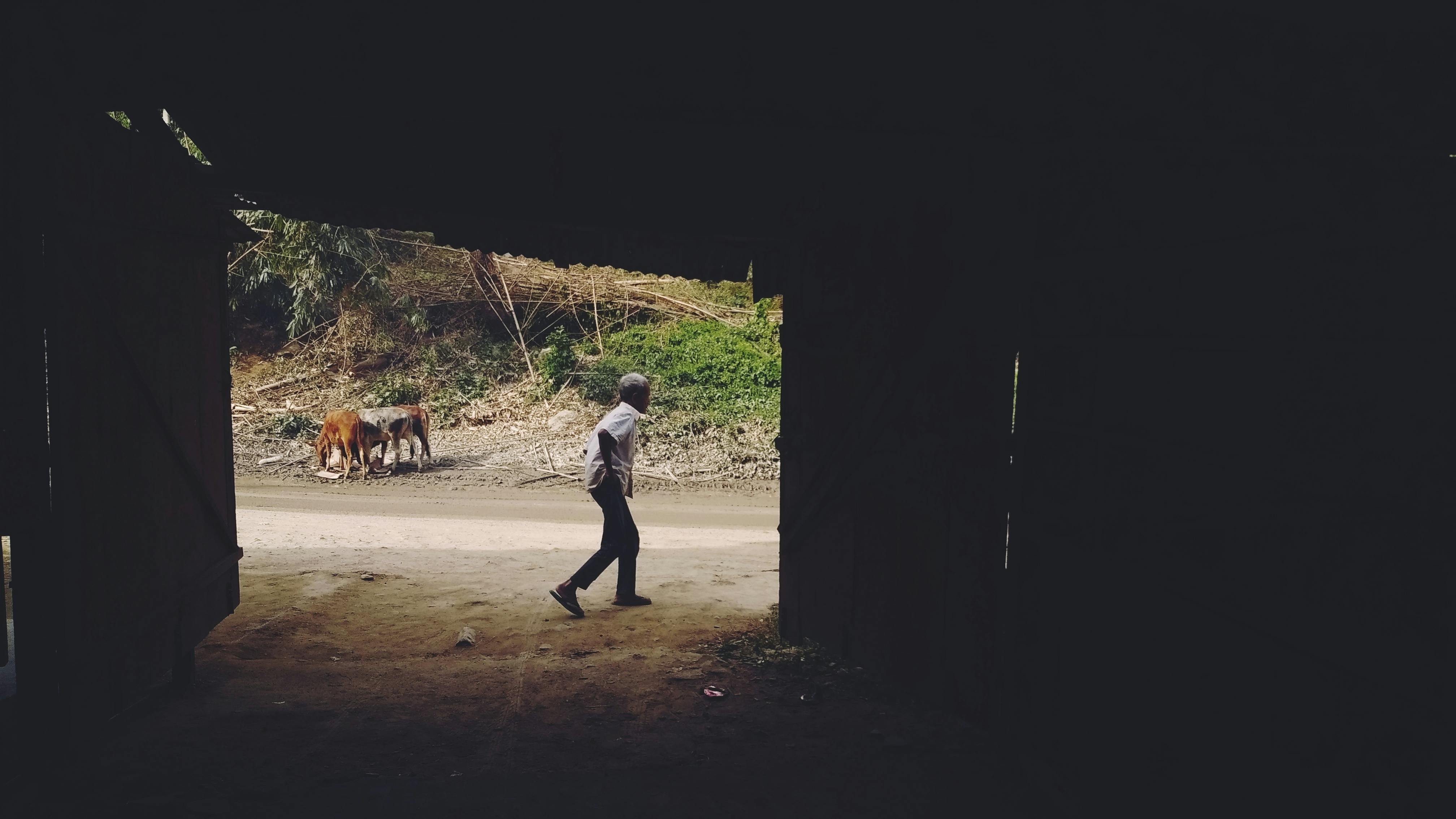 Ziro Arunachal Photos, Download The BEST Free Ziro Arunachal Stock ...