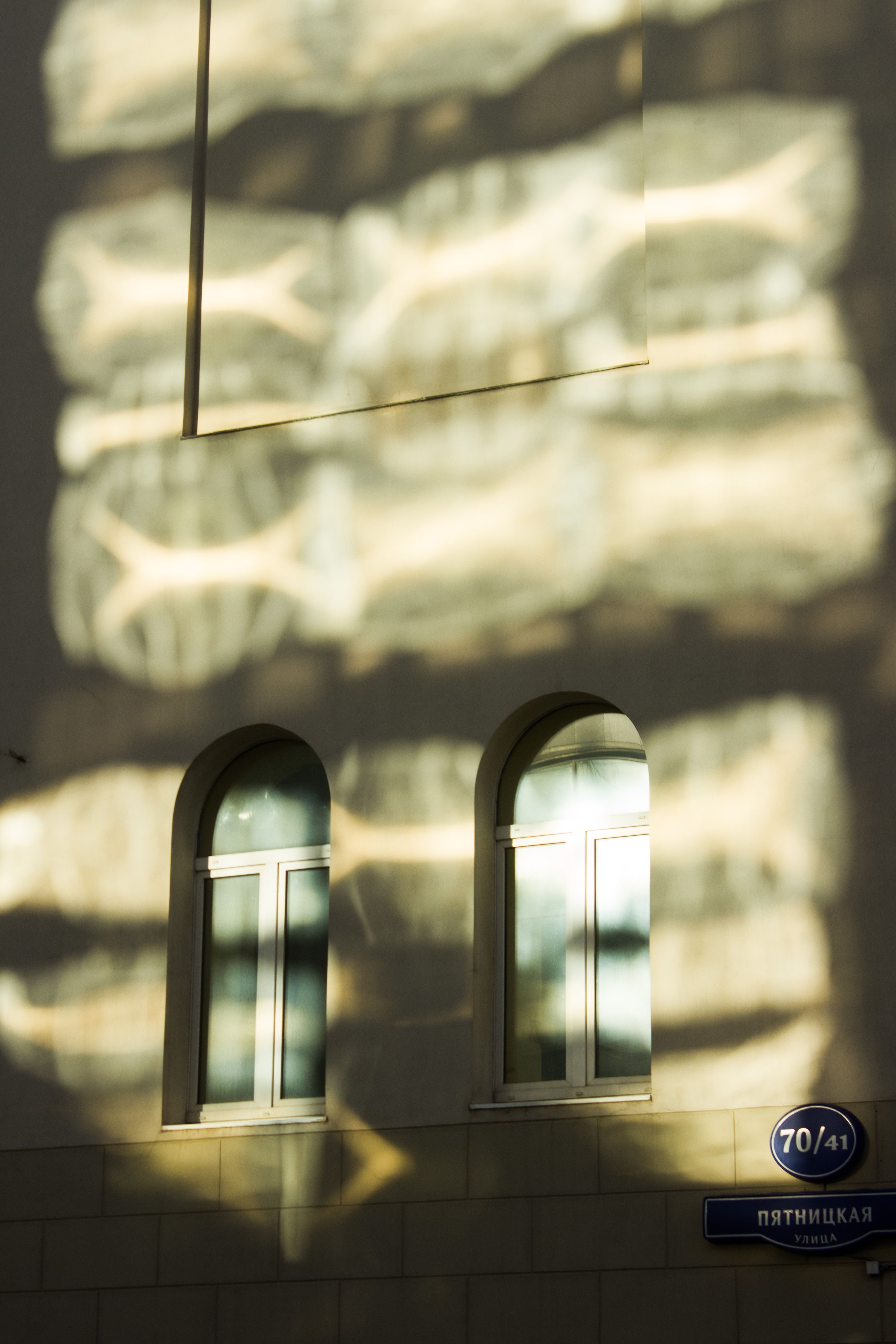 Shadows on the Wall of a Building · Free Stock Photo