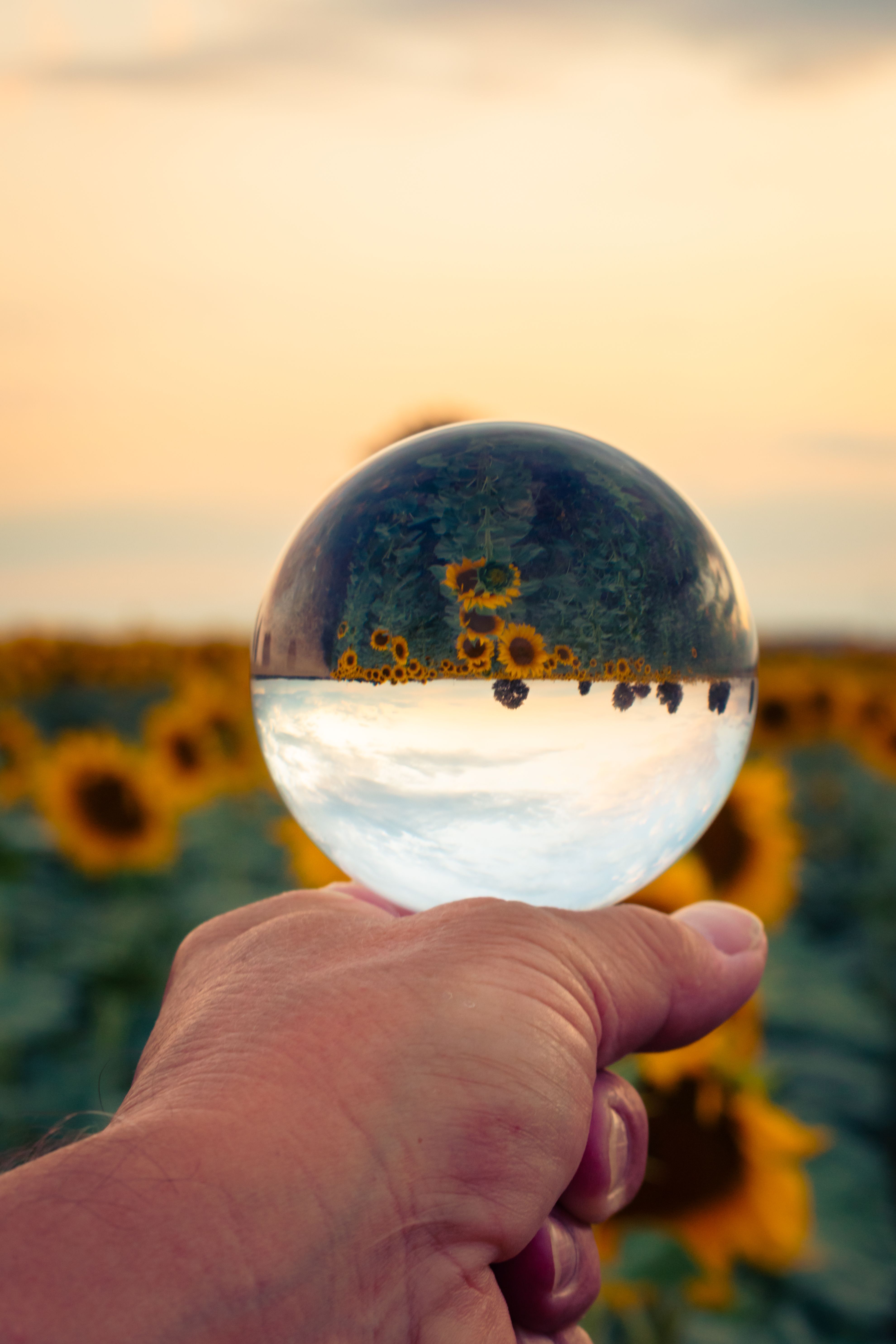 Person Holding Clear Glass Ball · Free Stock Photo