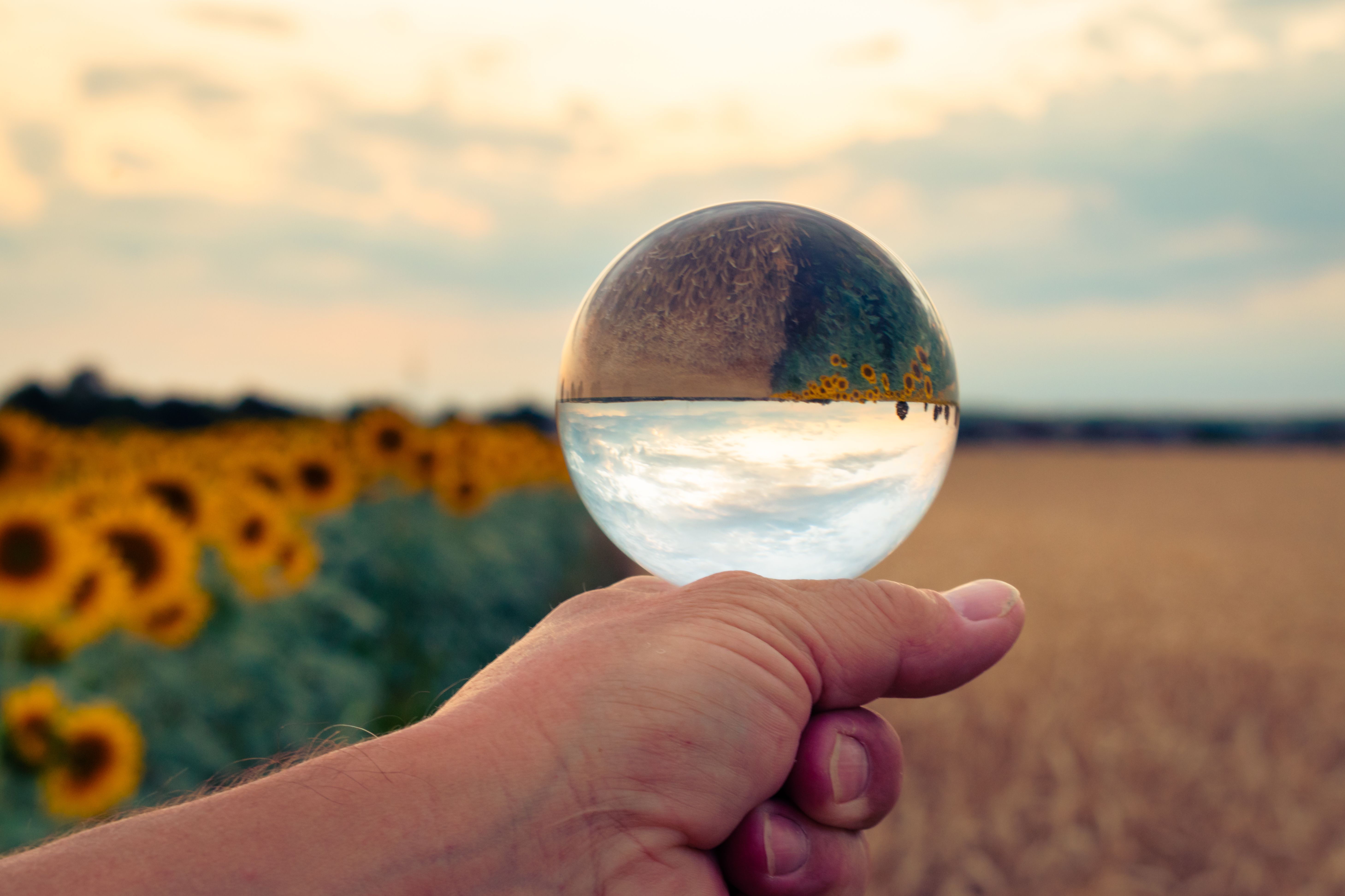 A person holding a glass ball in front of a field · Free Stock Photo
