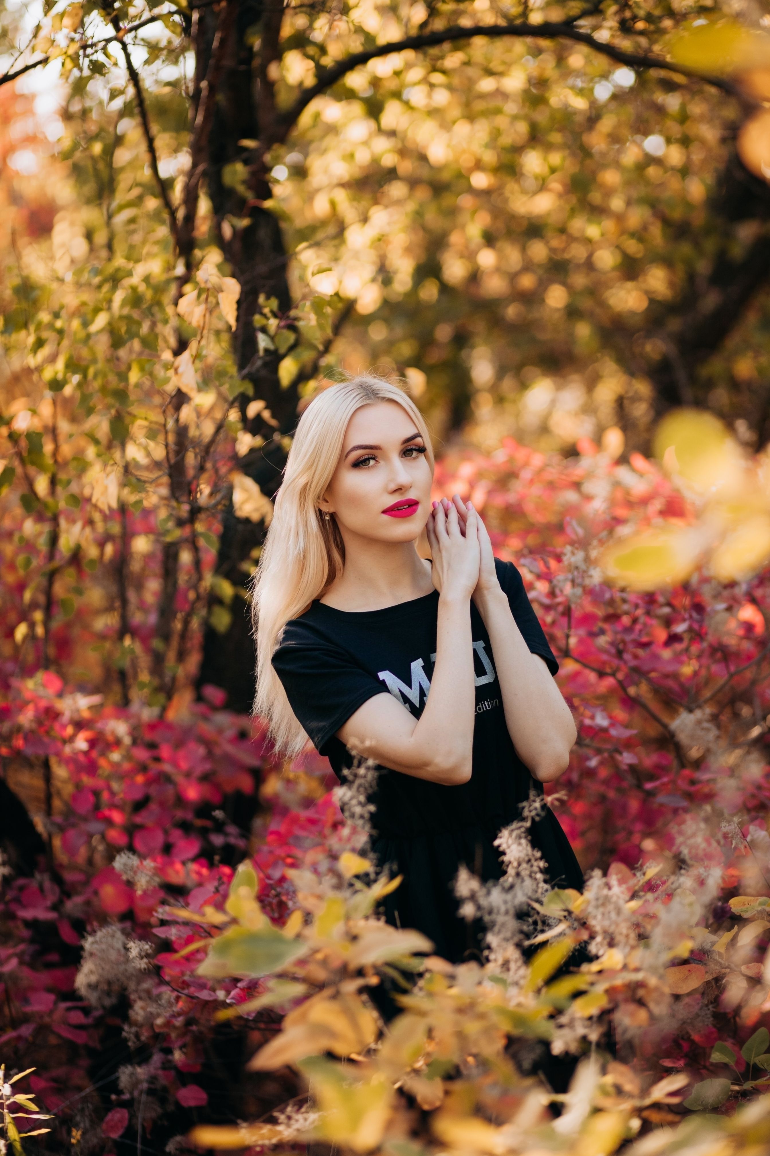 A blonde woman in a black shirt is posing in the fall leaves · Free ...