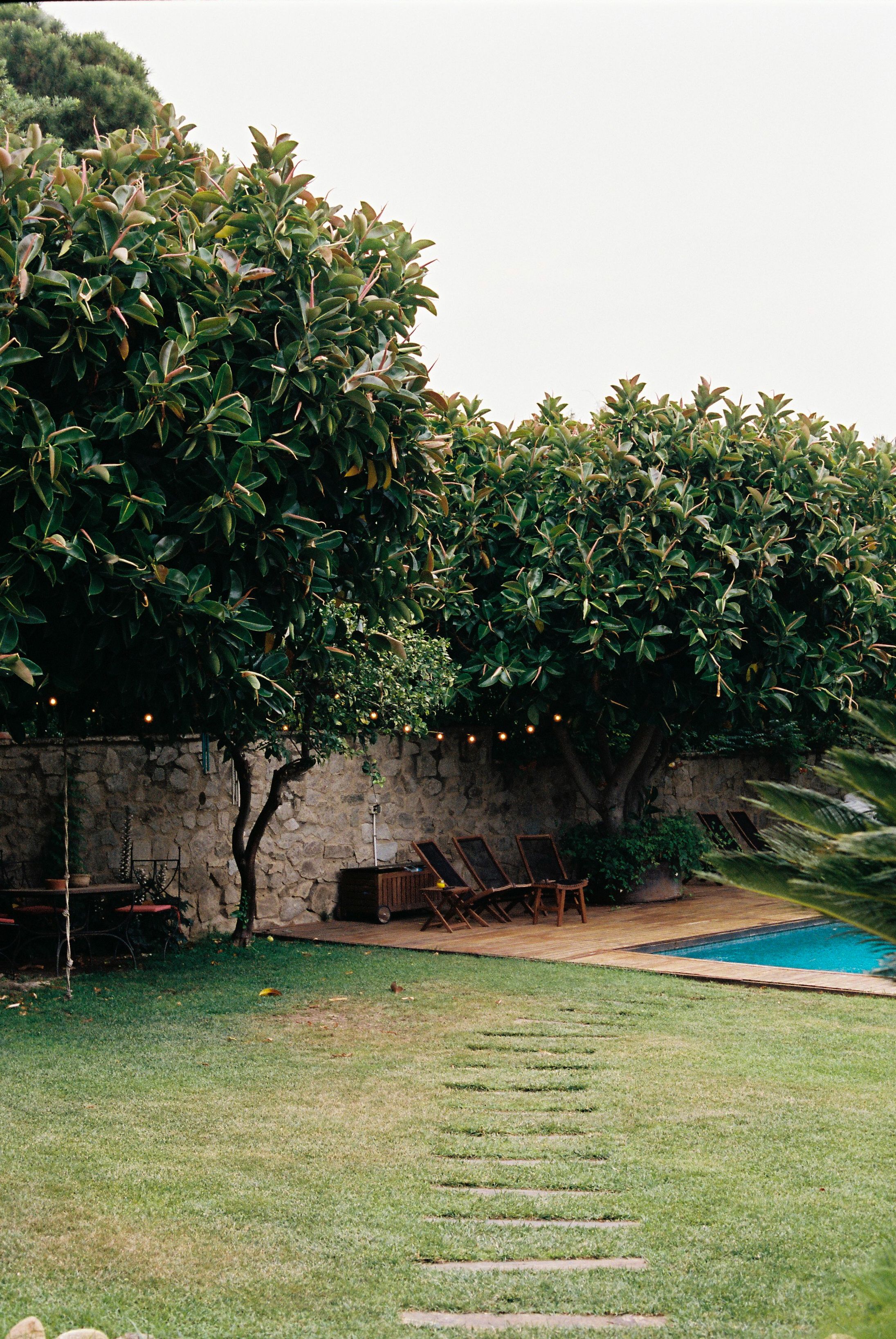 Yard with Swimming Pool in Summer · Free Stock Photo