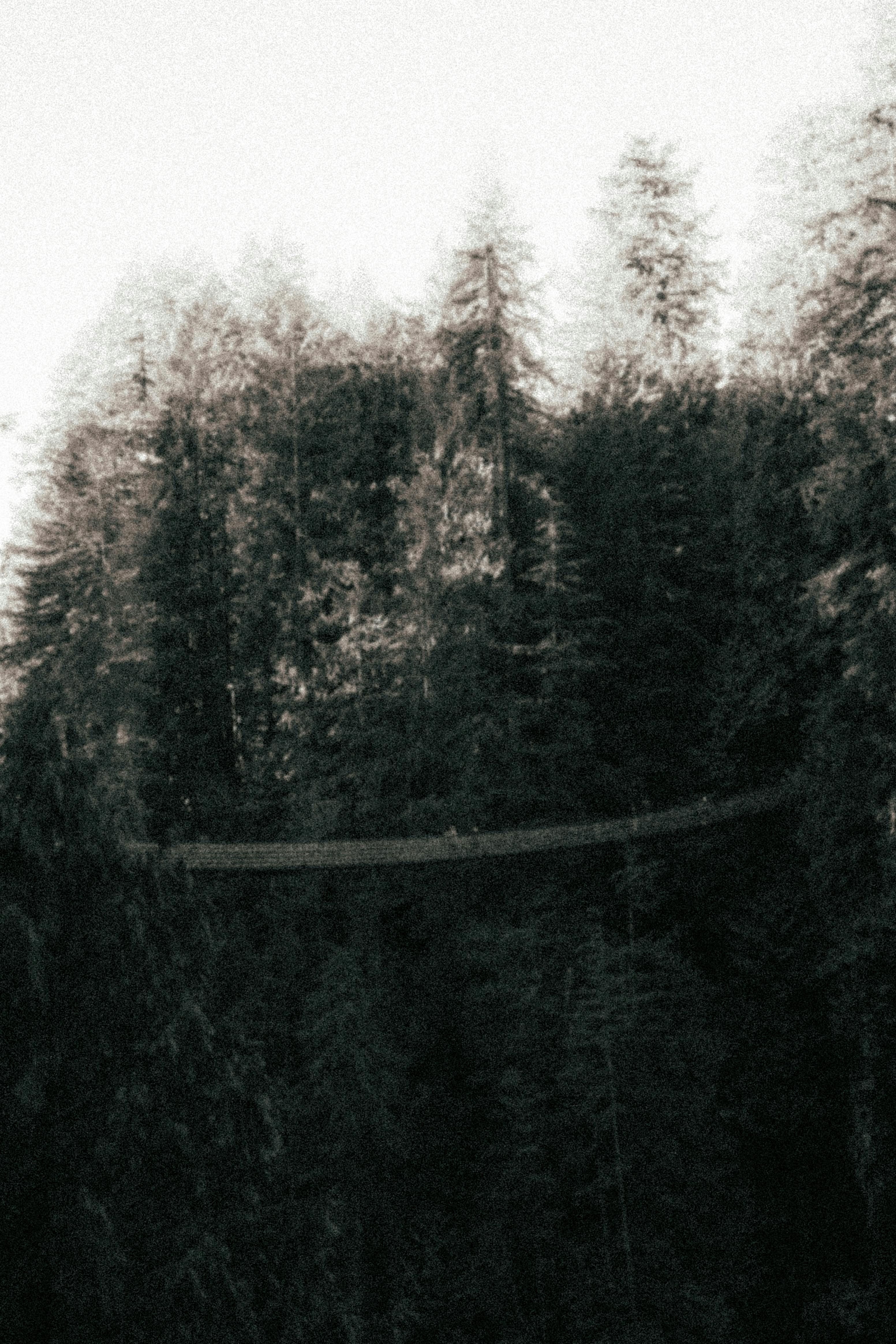 Icey Path Photos, Download The BEST Free Icey Path Stock Photos & HD Images