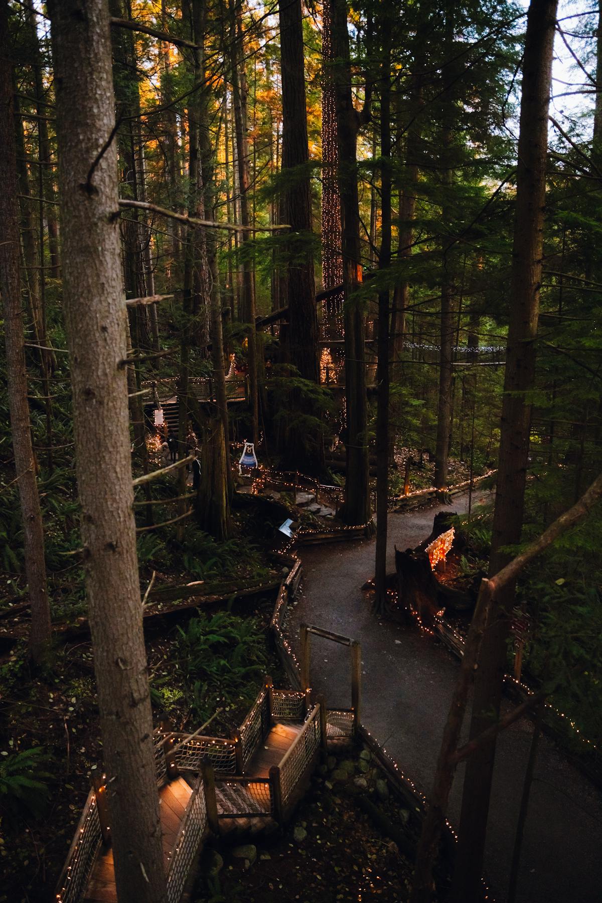 2 Paths Photos, Download The BEST Free 2 Paths Stock Photos & HD Images