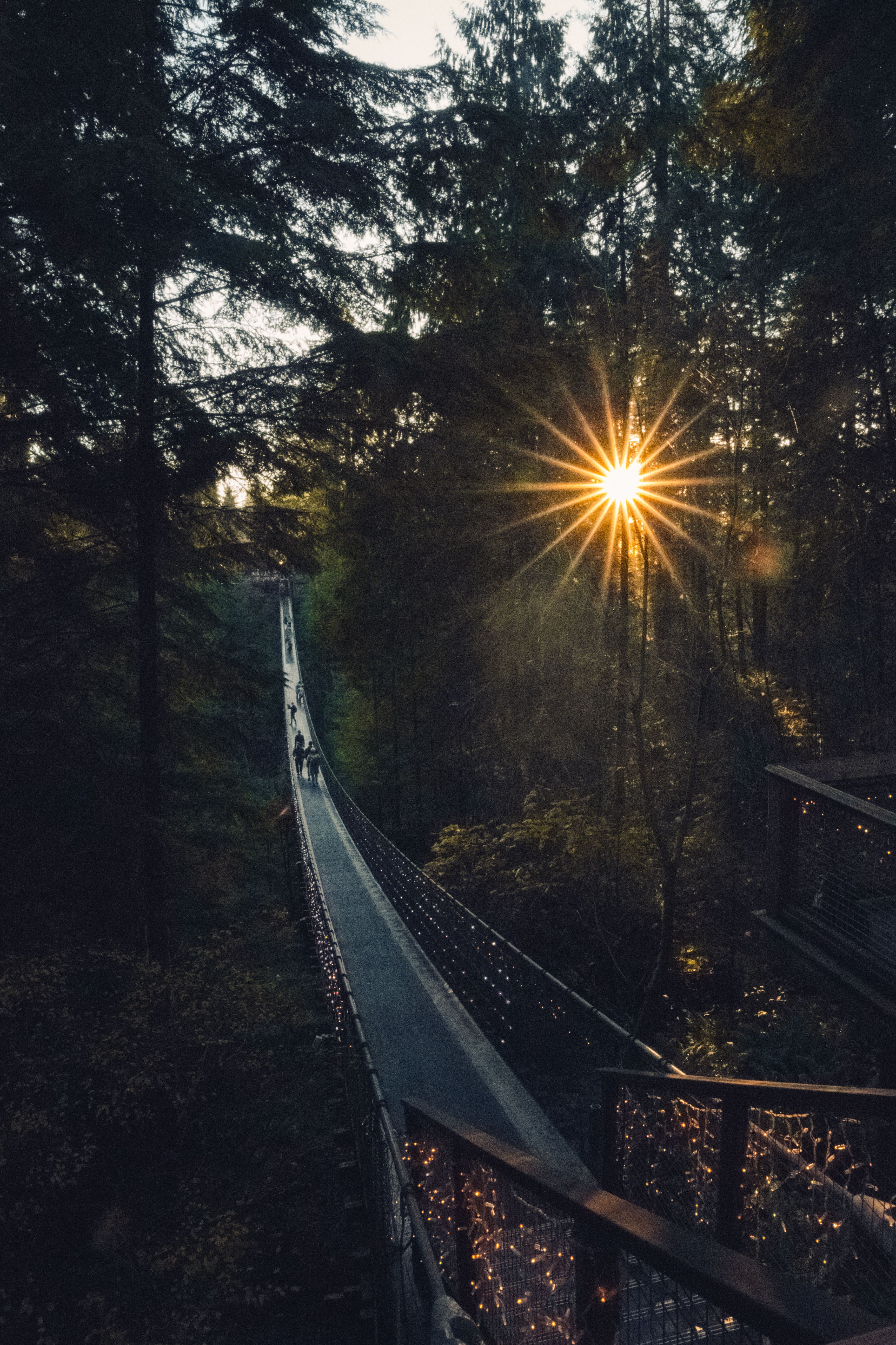 Brown Wooden Bridge over Green Trees · Free Stock Photo