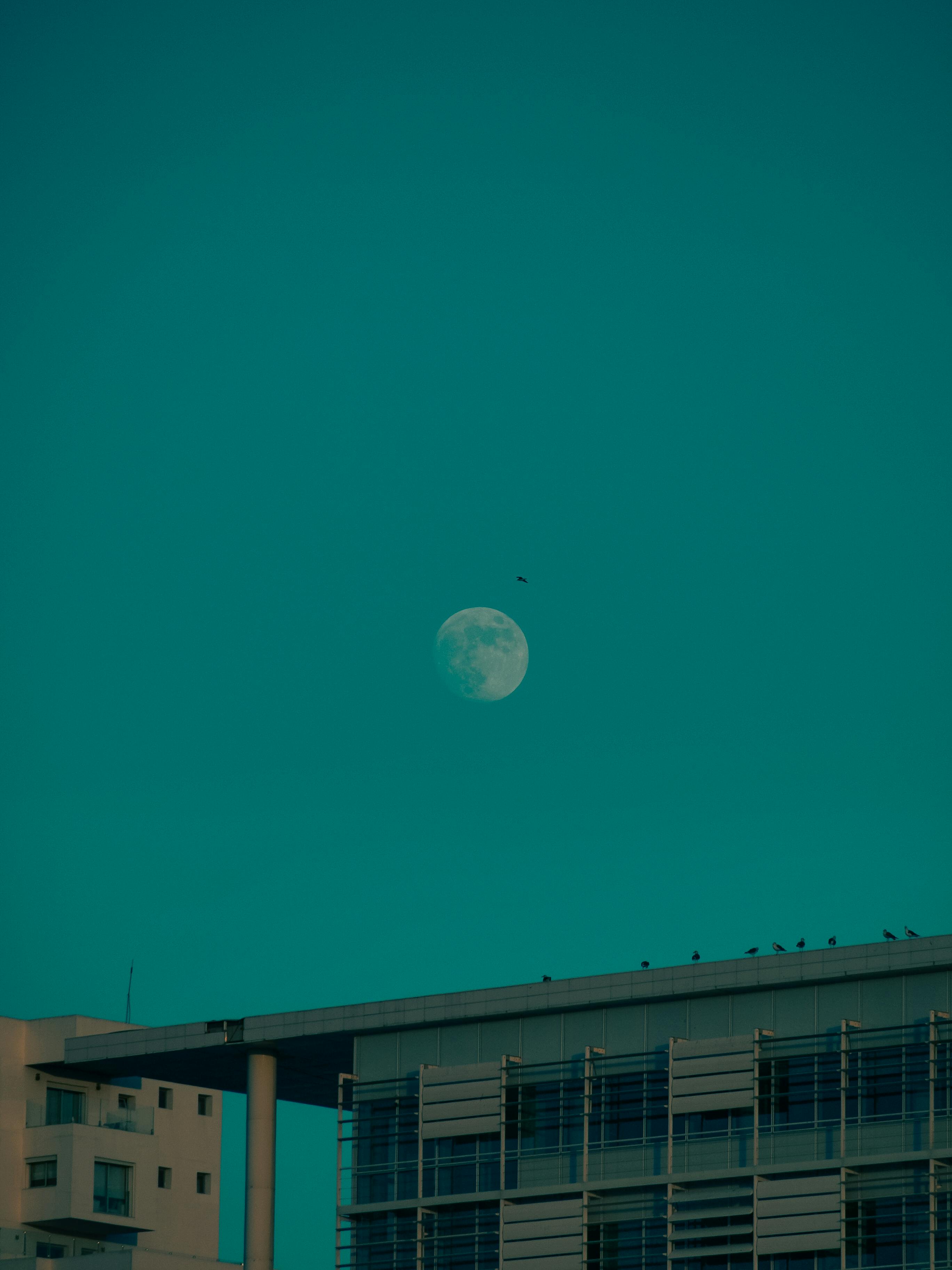 Moon Above House Buildings · Free Stock Photo