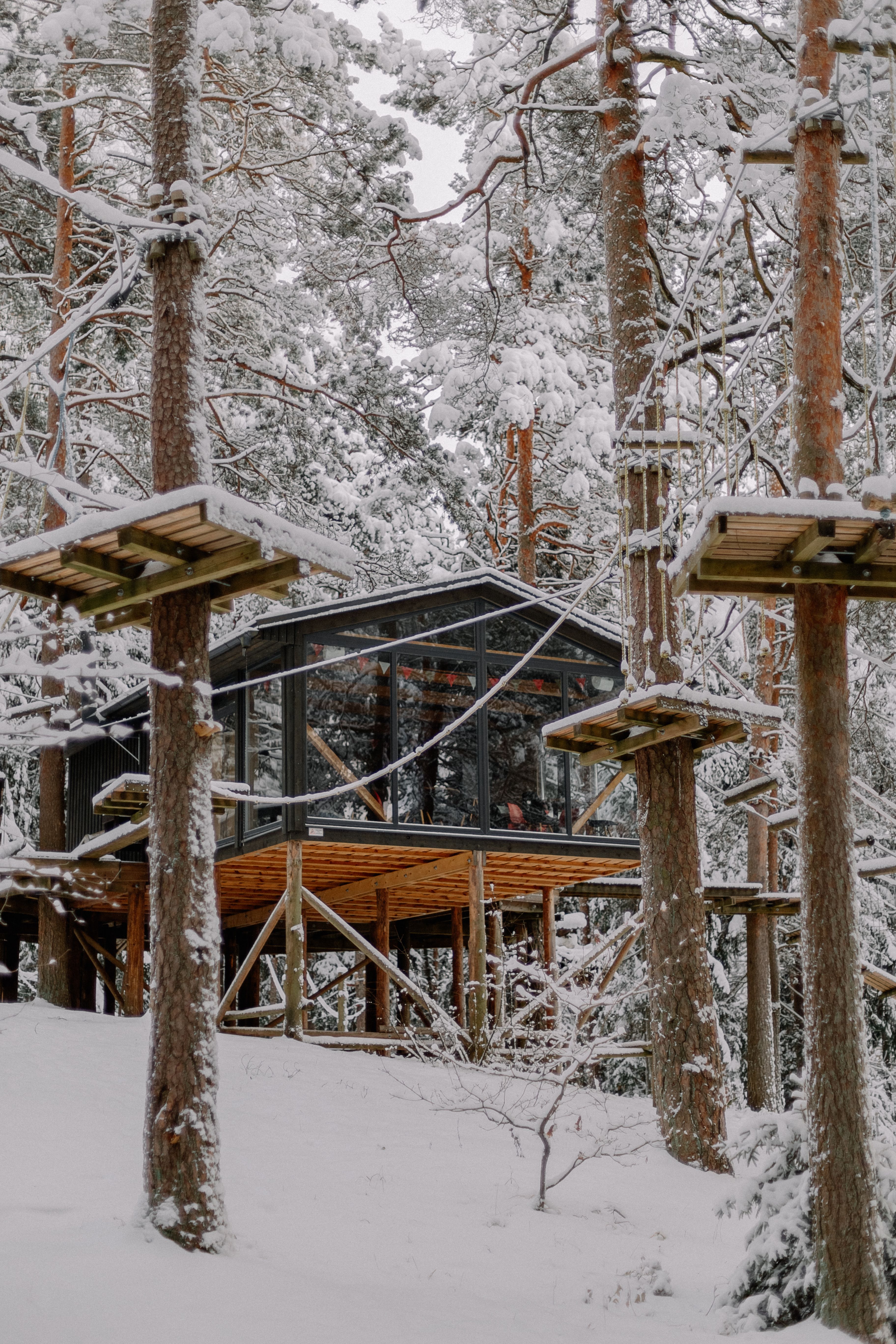 Aerial Adventure Park in Forest in Snow · Free Stock Photo