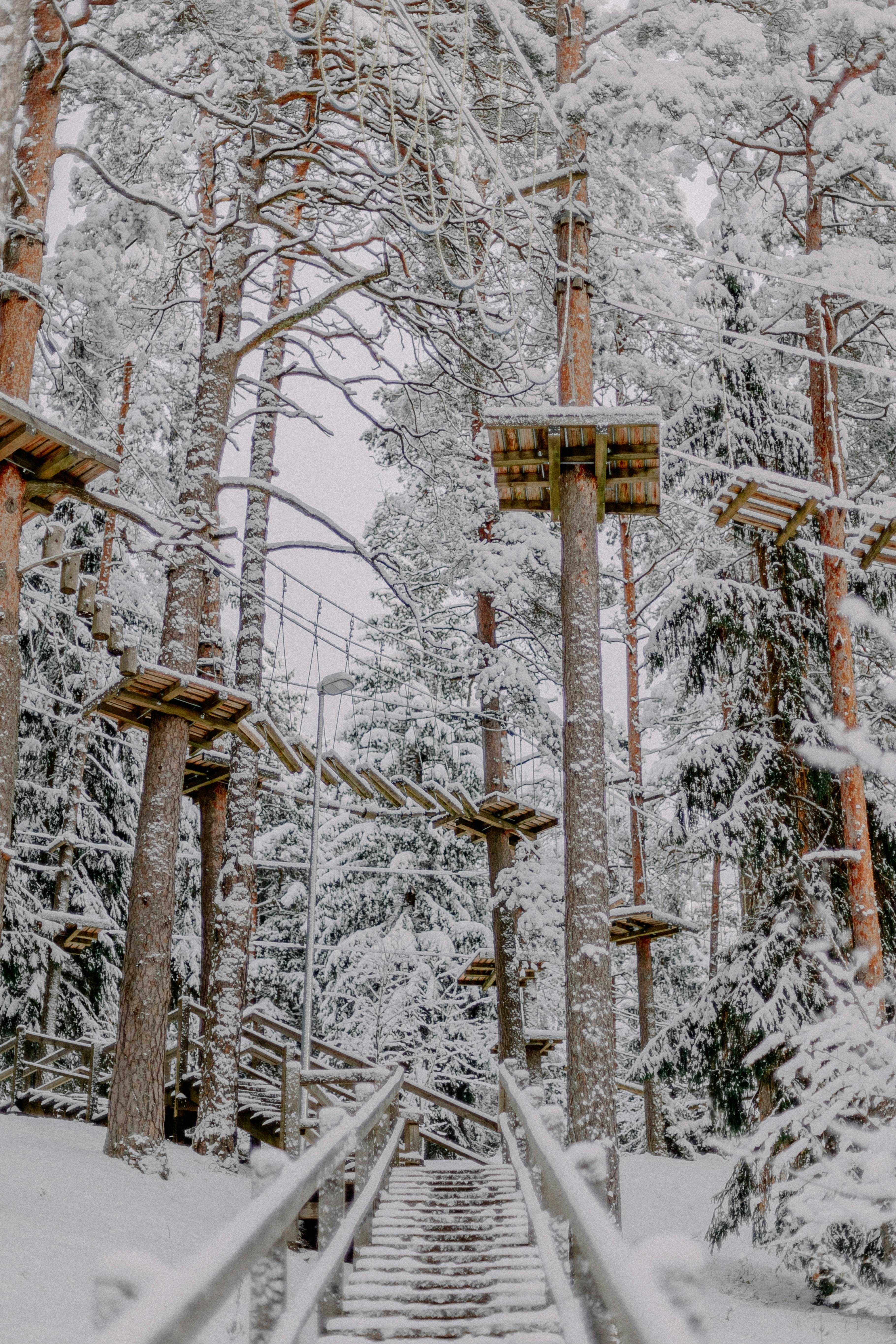 Aerial Adventure Park in Snow · Free Stock Photo