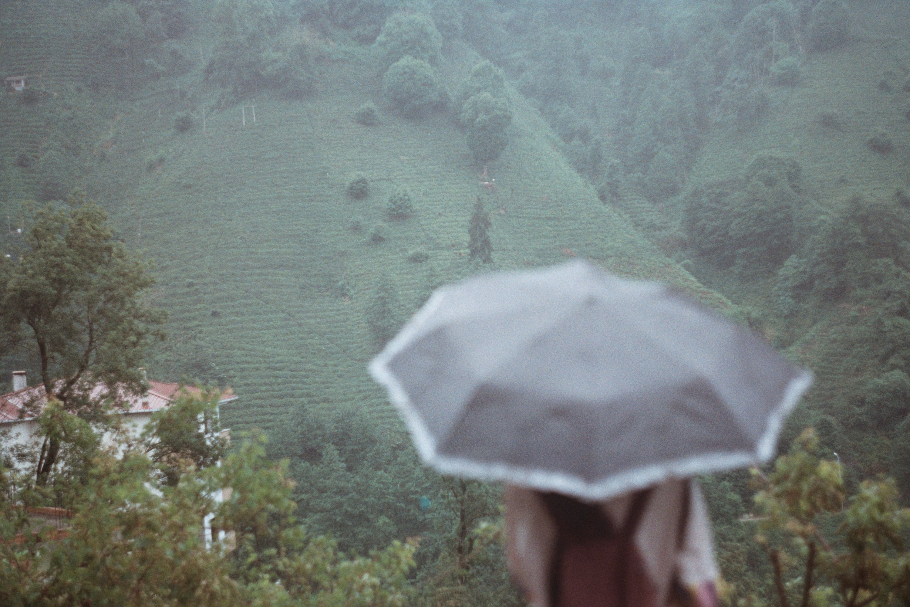Beautiful Rain Umbrella View Photos, Download The BEST Free Beautiful ...