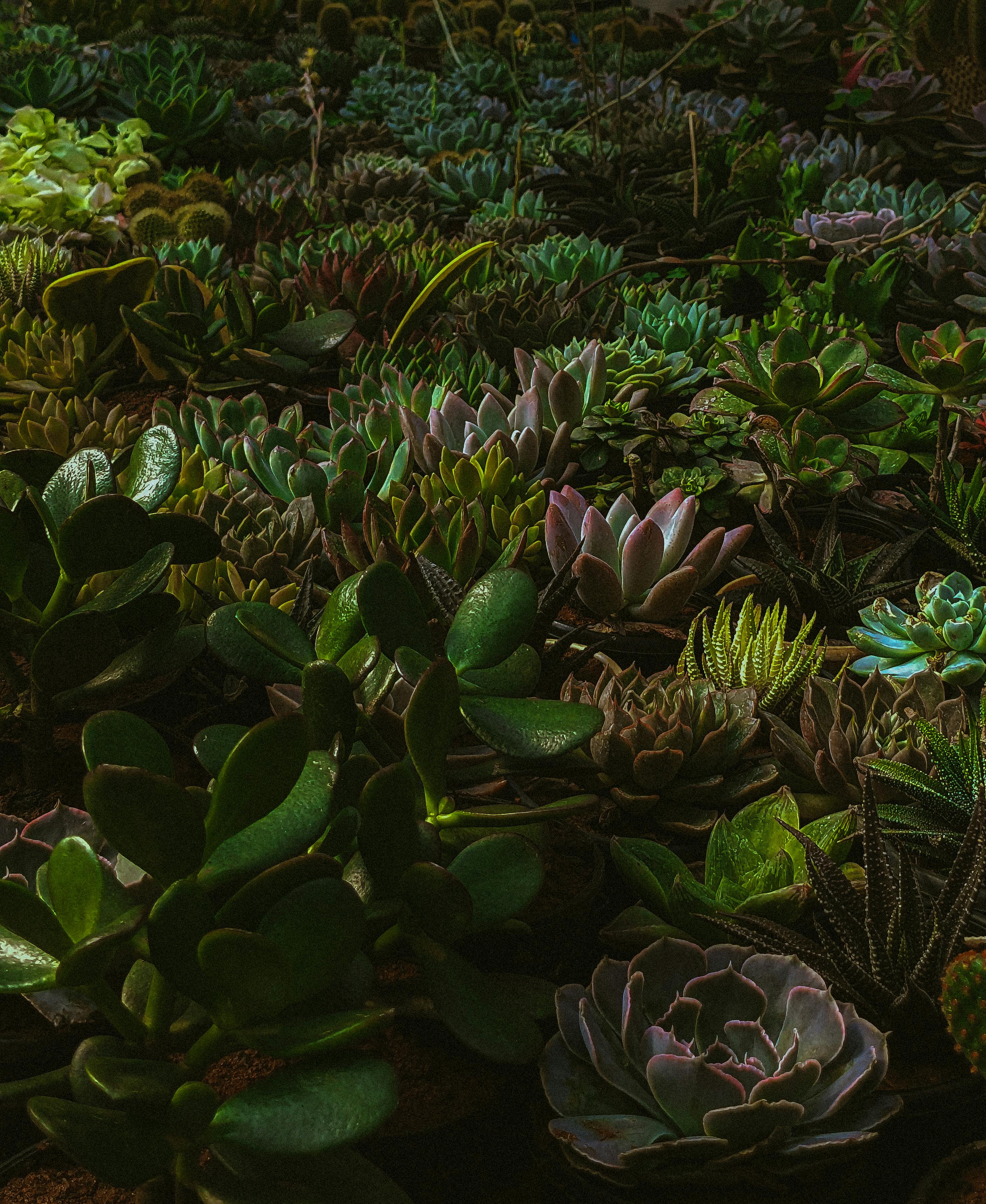 Dark Ambiance Photos, Download The BEST Free Dark Ambiance Stock Photos ...