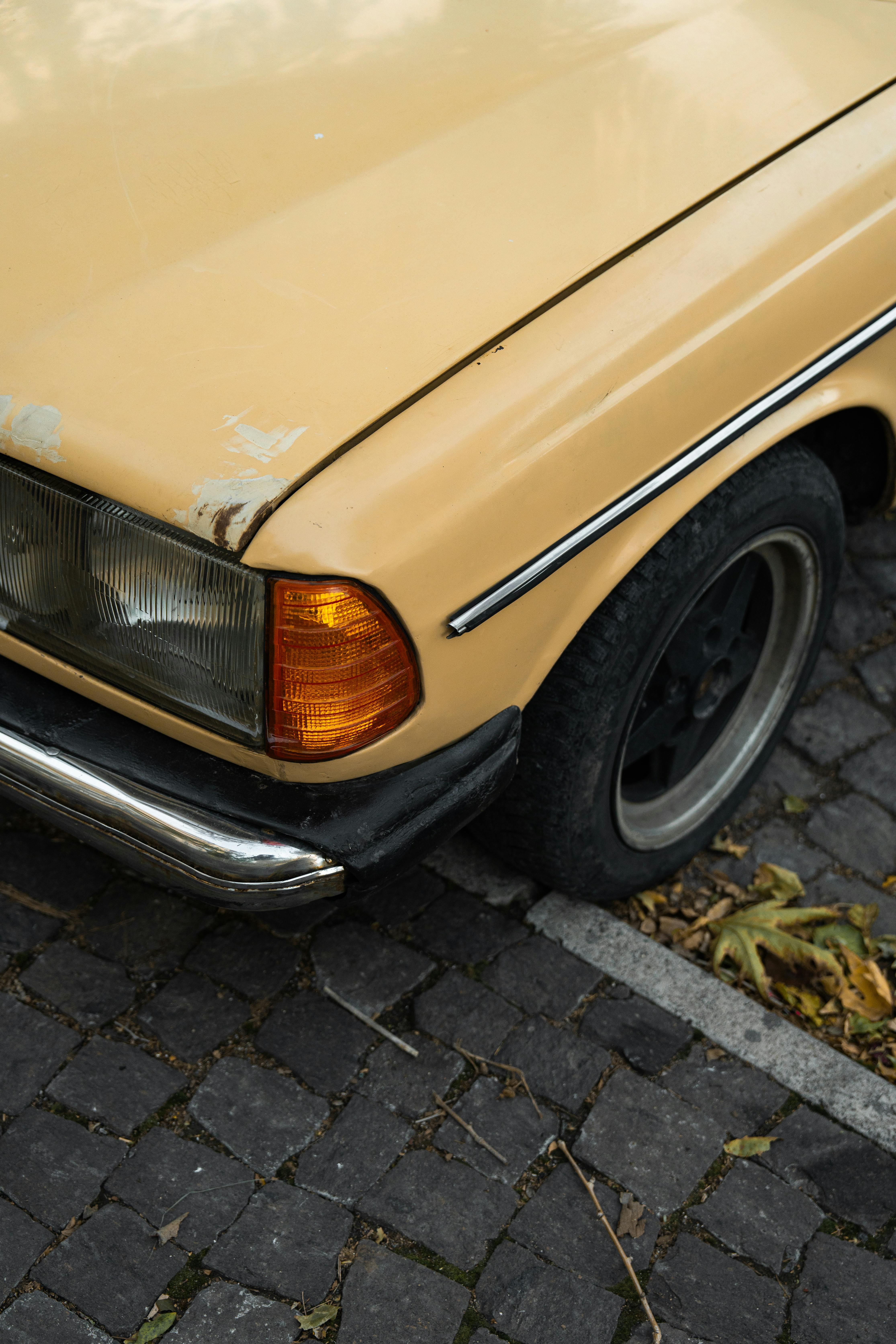 Zold Fender Photos, Download The BEST Free Zold Fender Stock Photos ...