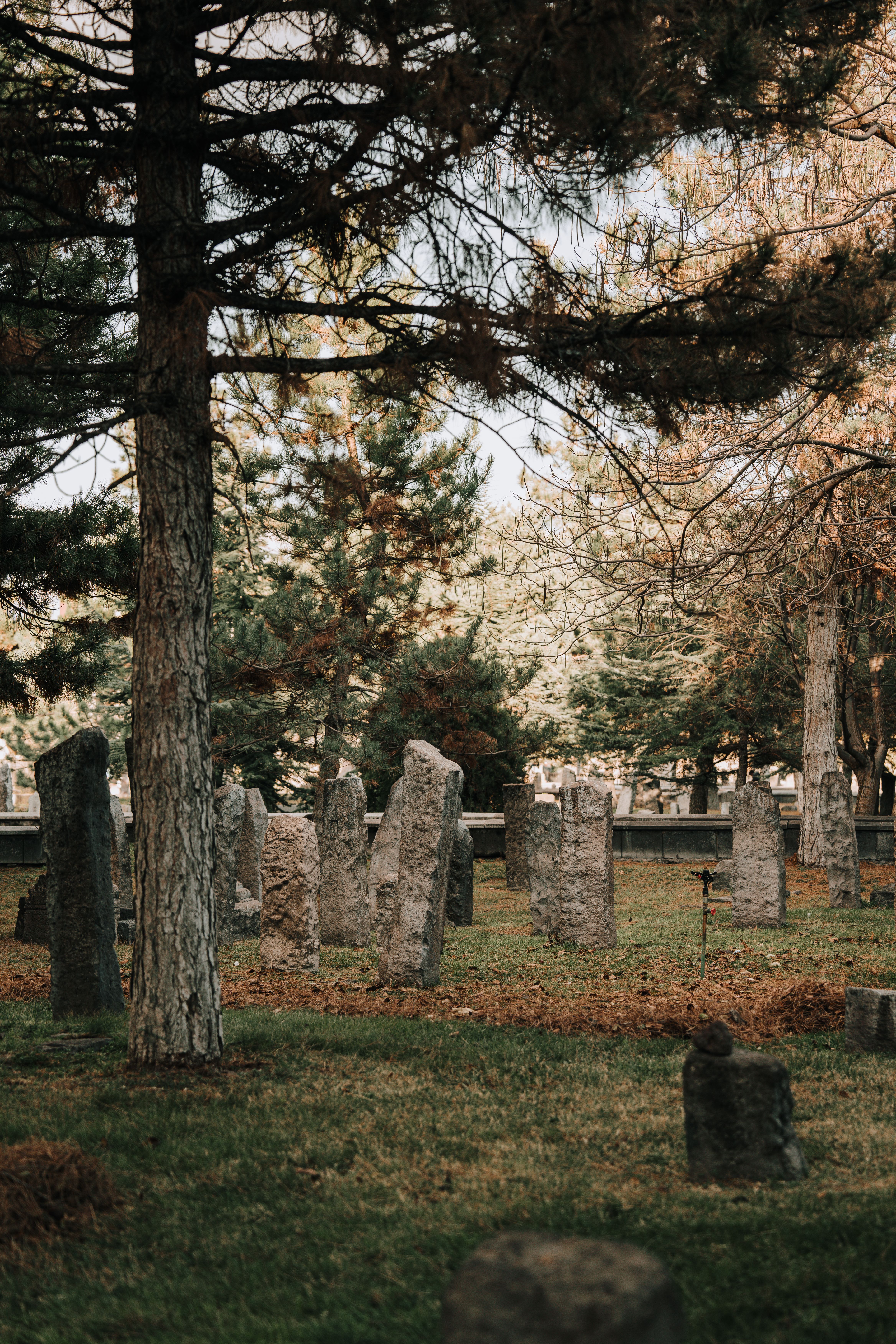 Stone Tombstone in an Old Cemetery · Free Stock Photo