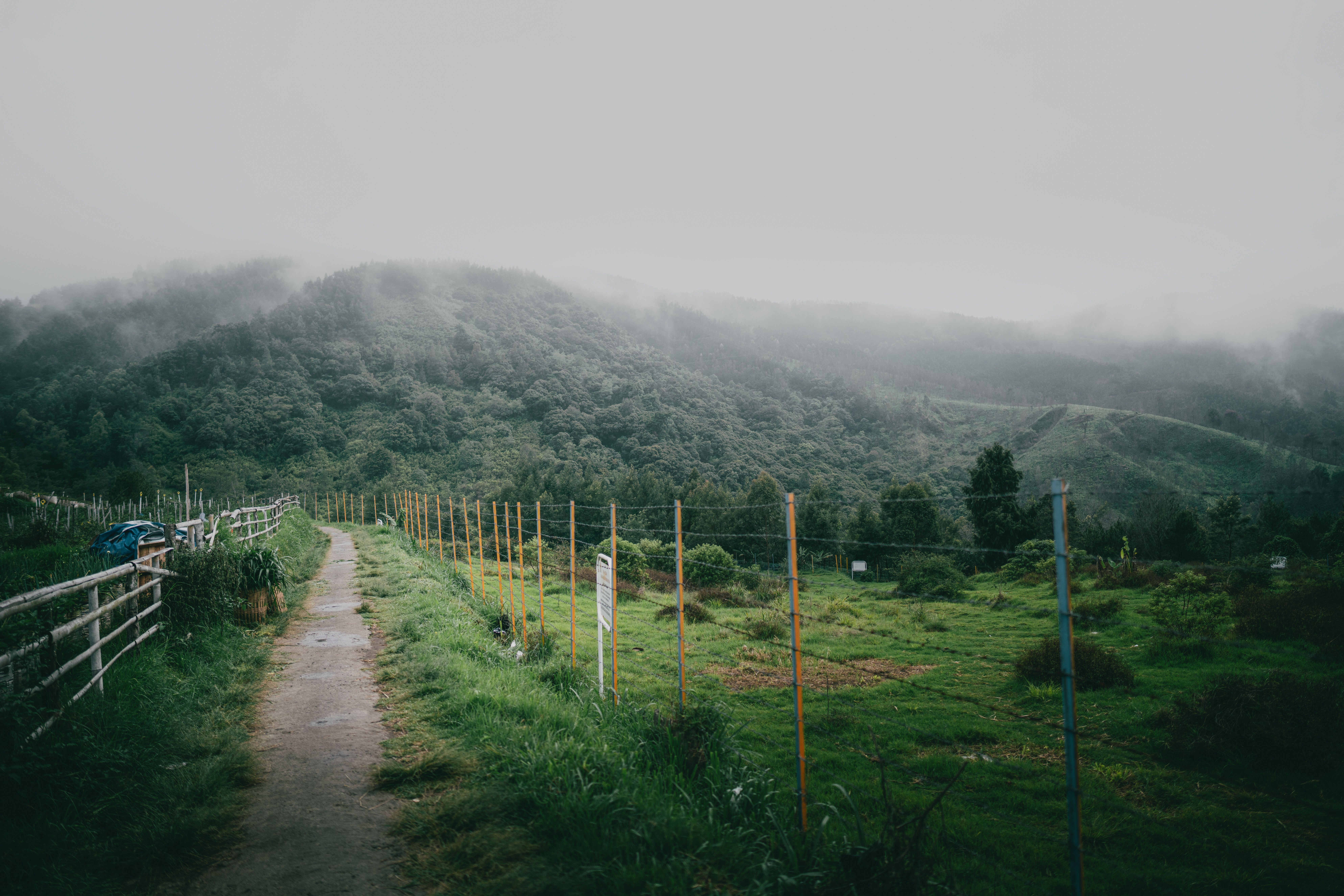 Footpath and Barbed Wire Fence near · Free Stock Photo
