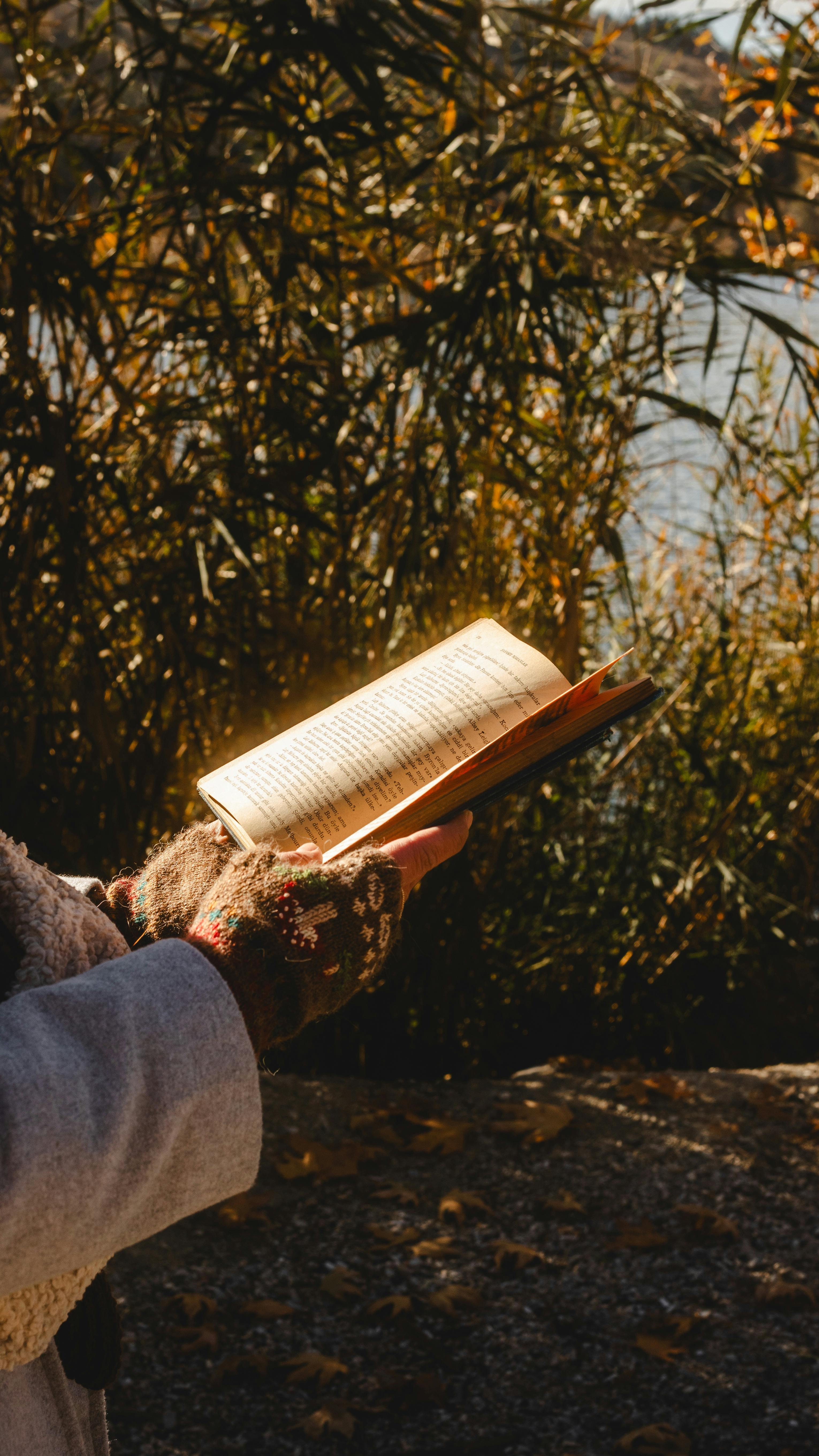 Stedent Reading Photos, Download The BEST Free Stedent Reading Stock ...