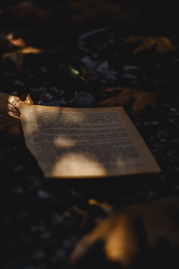 Torn Book Photos, Download The BEST Free Torn Book Stock Photos & HD Images