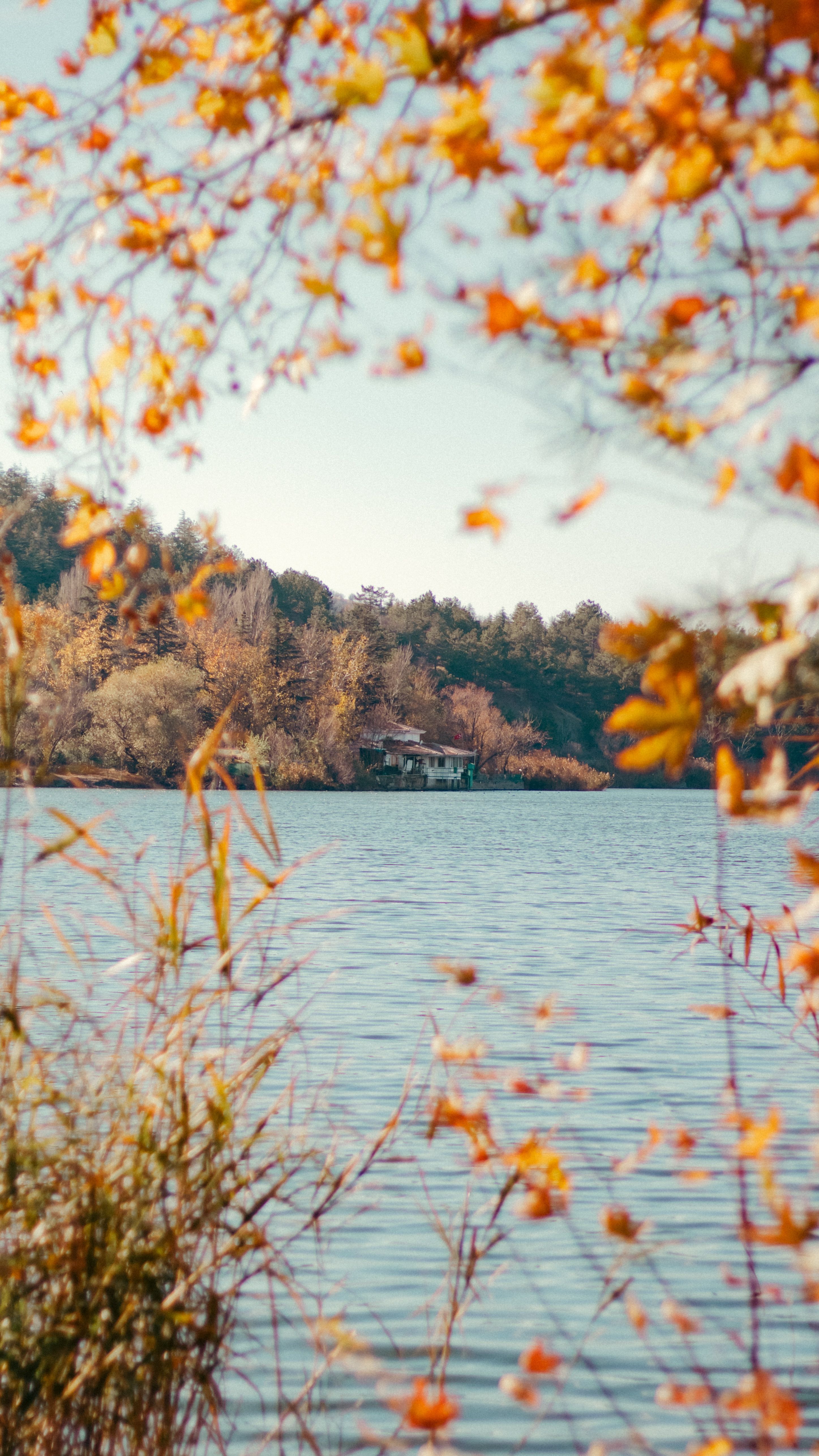 50.000+ Foto Danau Toba Terbaik · Unduh Gratis 100% · Foto Stok Pexels