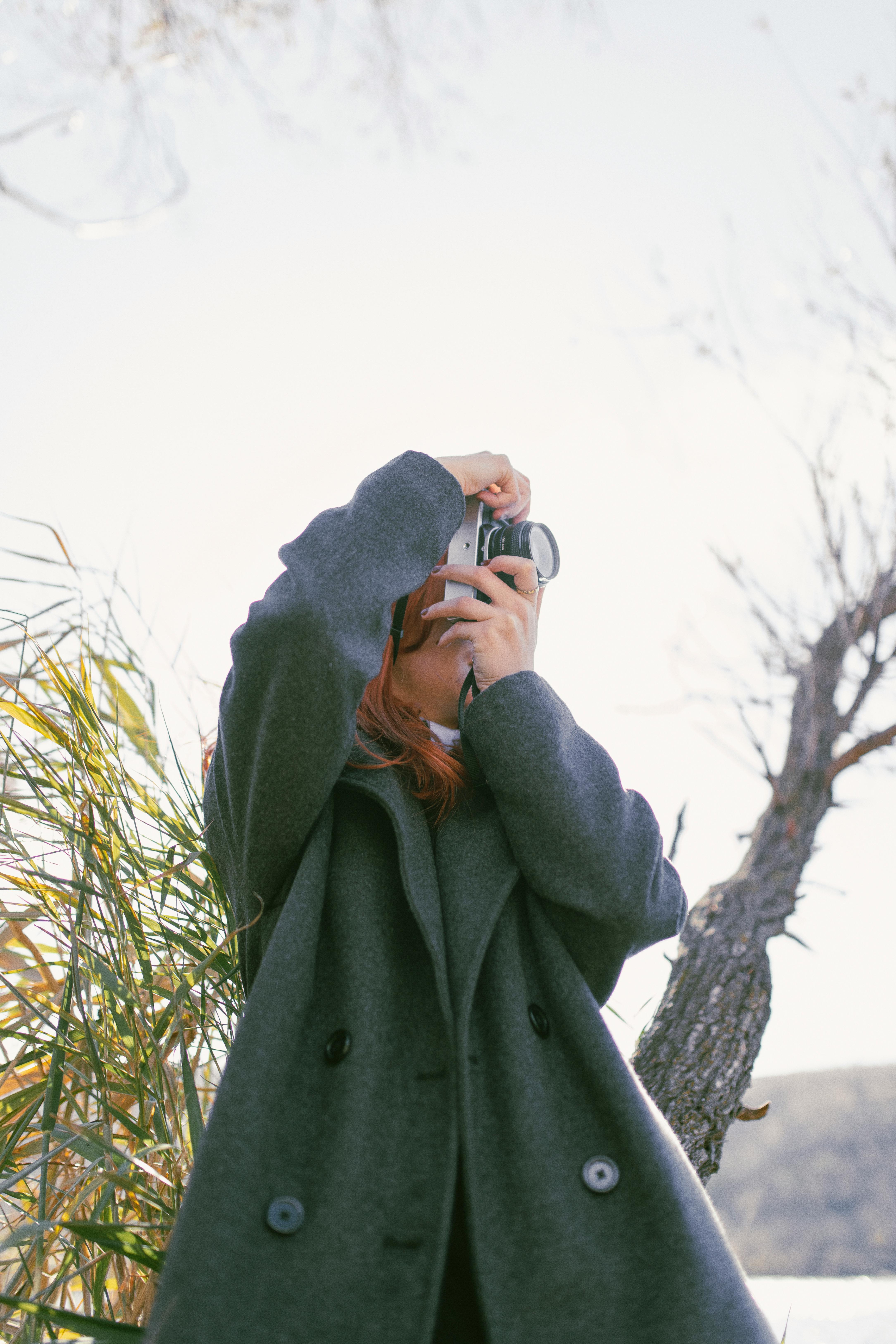 Pictures Of Tree Photos, Download The BEST Free Pictures Of Tree Stock ...