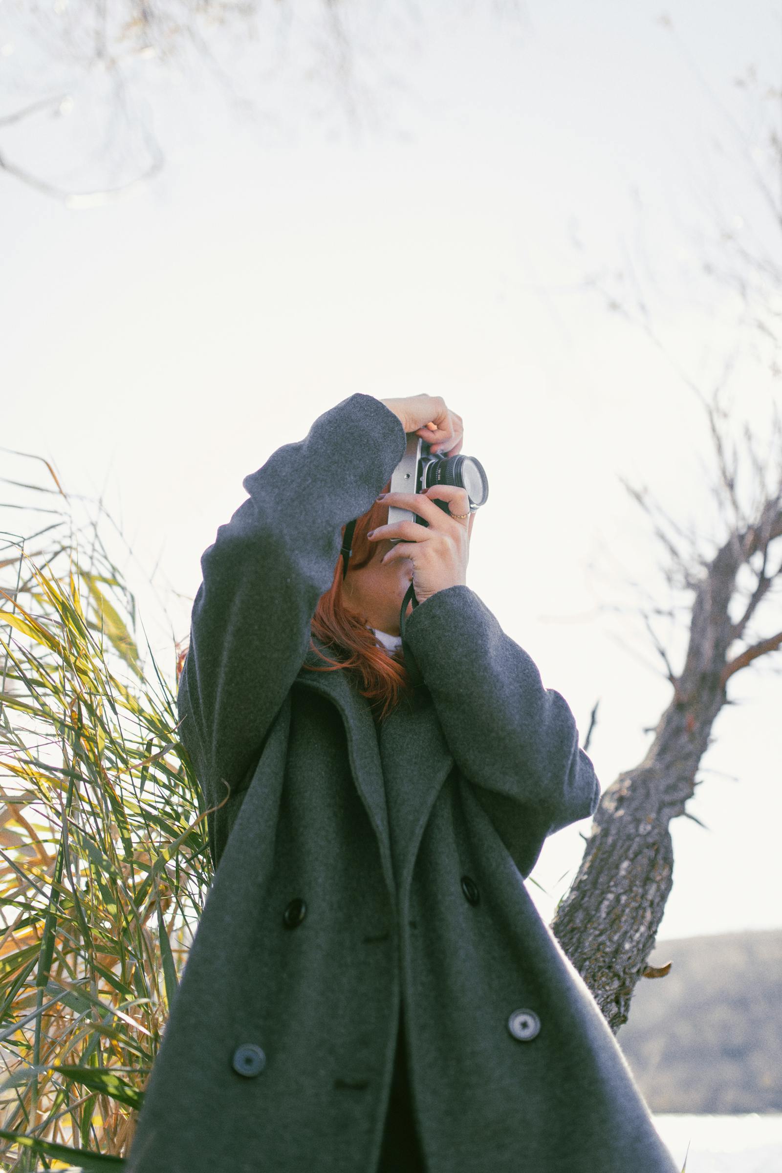 Pictures Of Tree Photos, Download The BEST Free Pictures Of Tree Stock ...