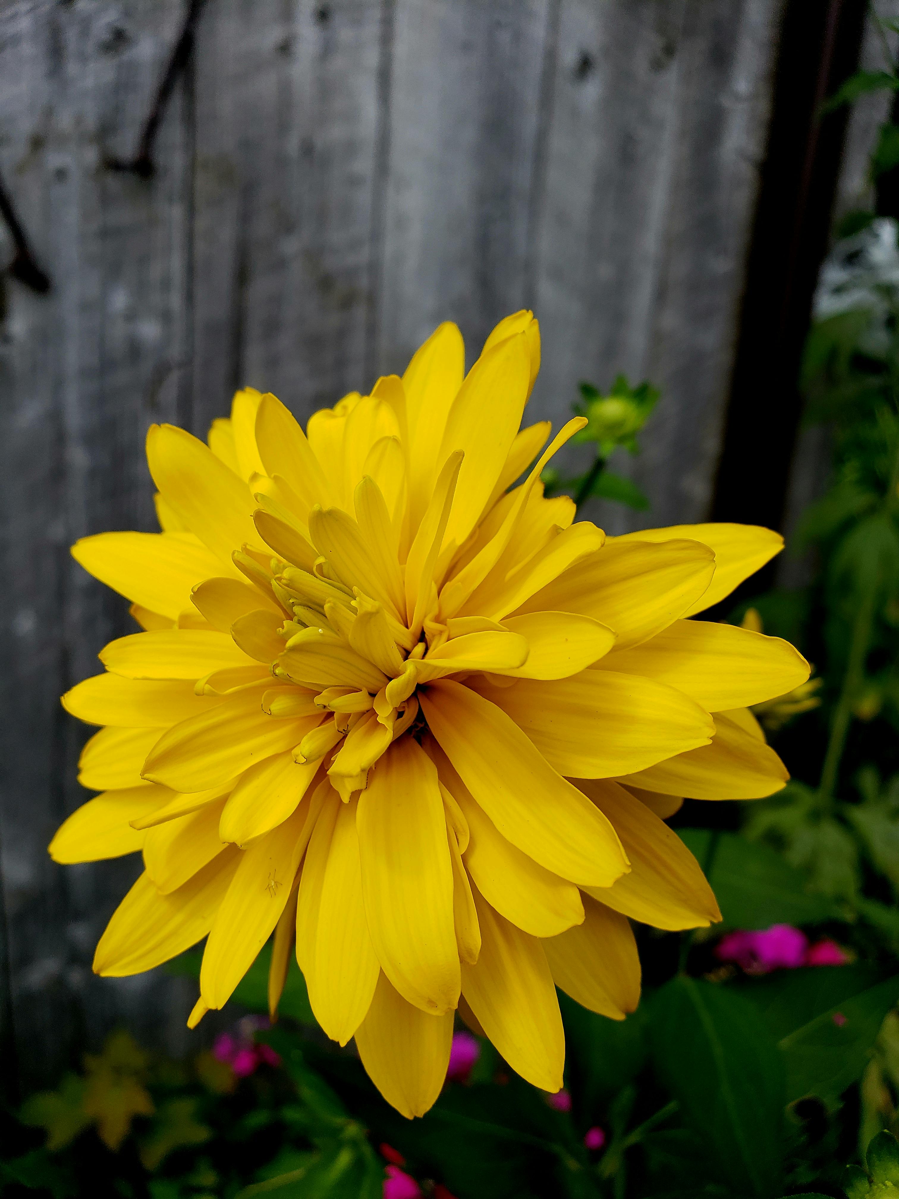 Bud Jenkins - Photography