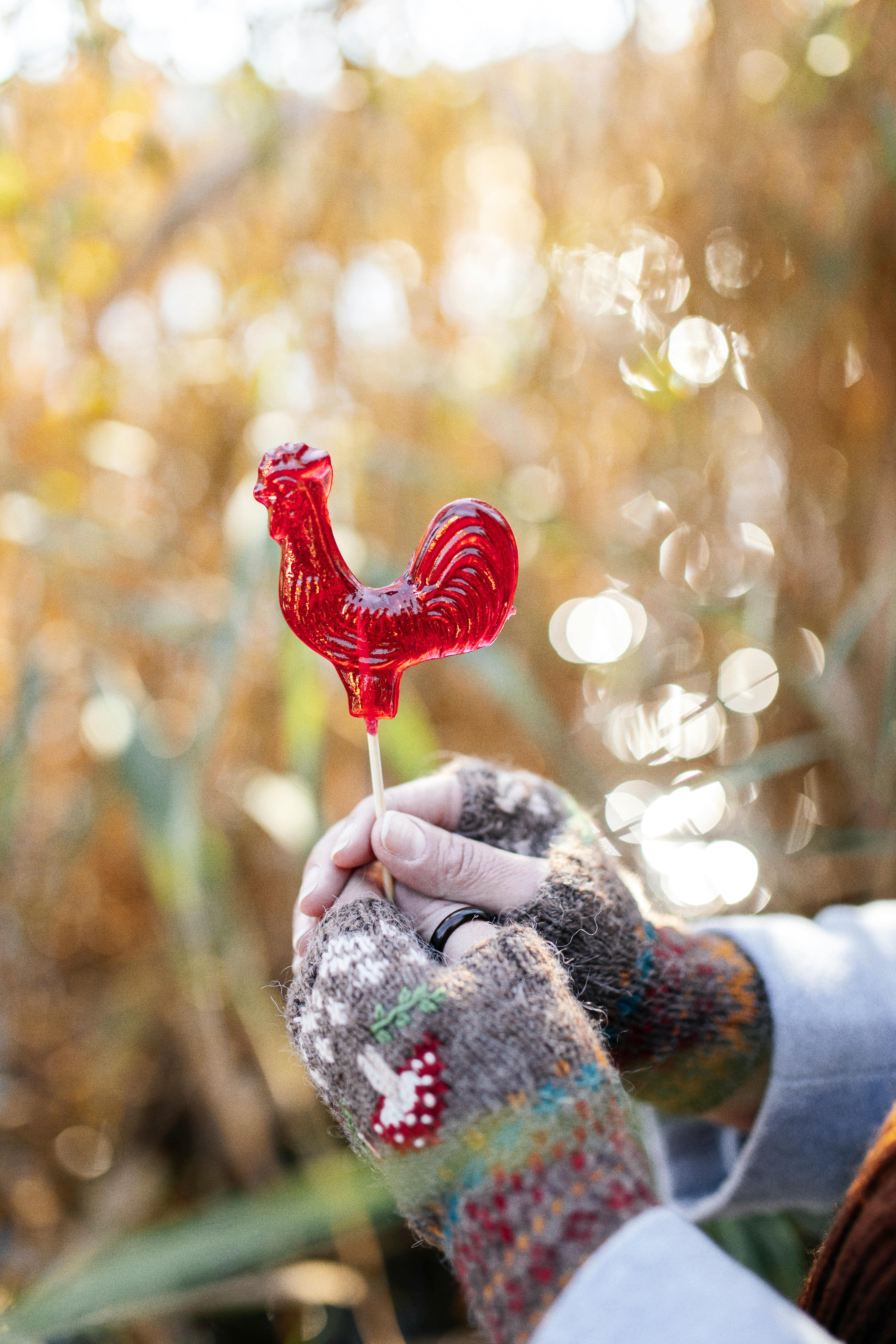 Lolly Poop Photos, Download The BEST Free Lolly Poop Stock Photos & HD ...