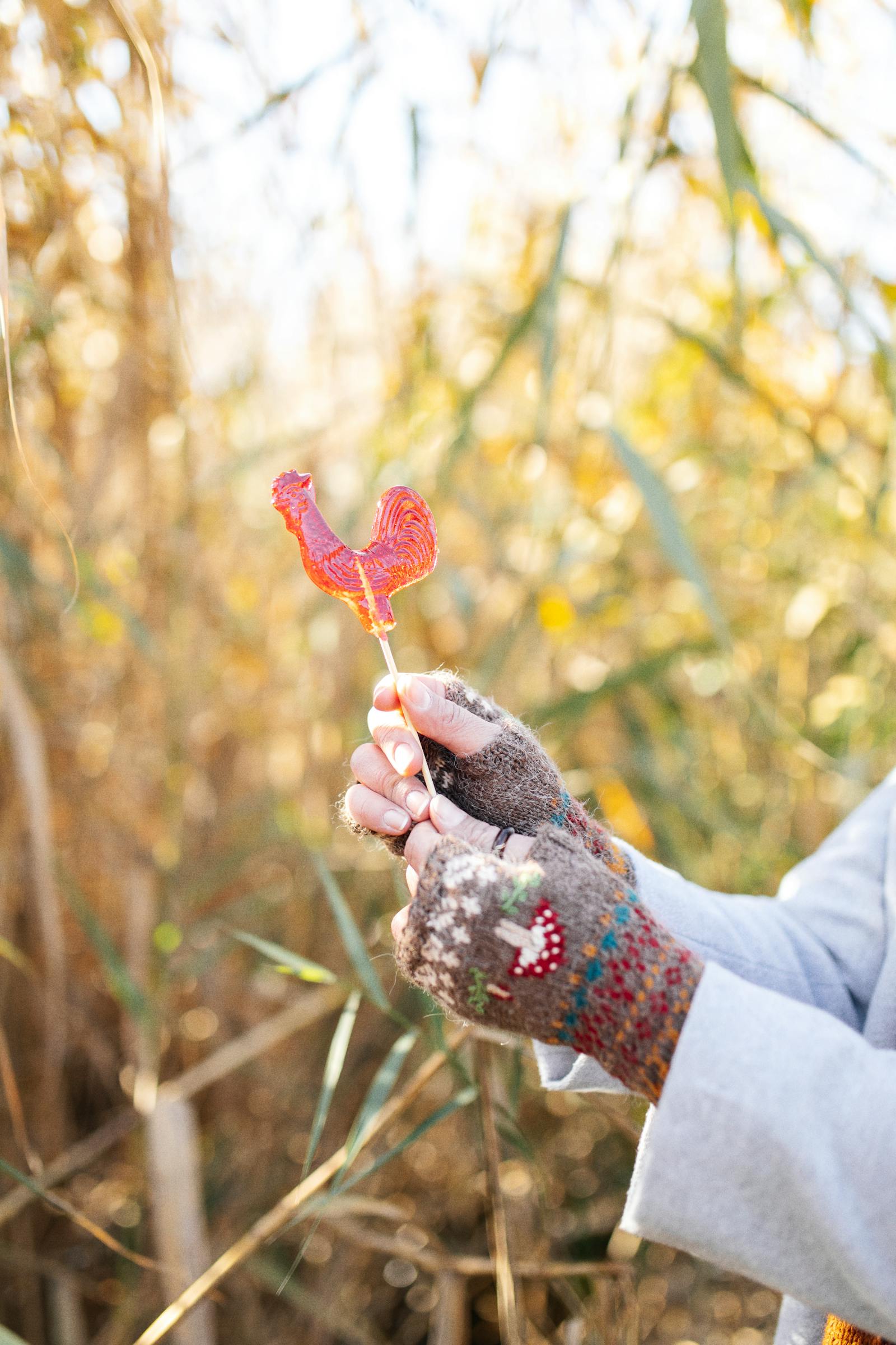 Poop Photos, Download The BEST Free Poop Stock Photos & HD Images