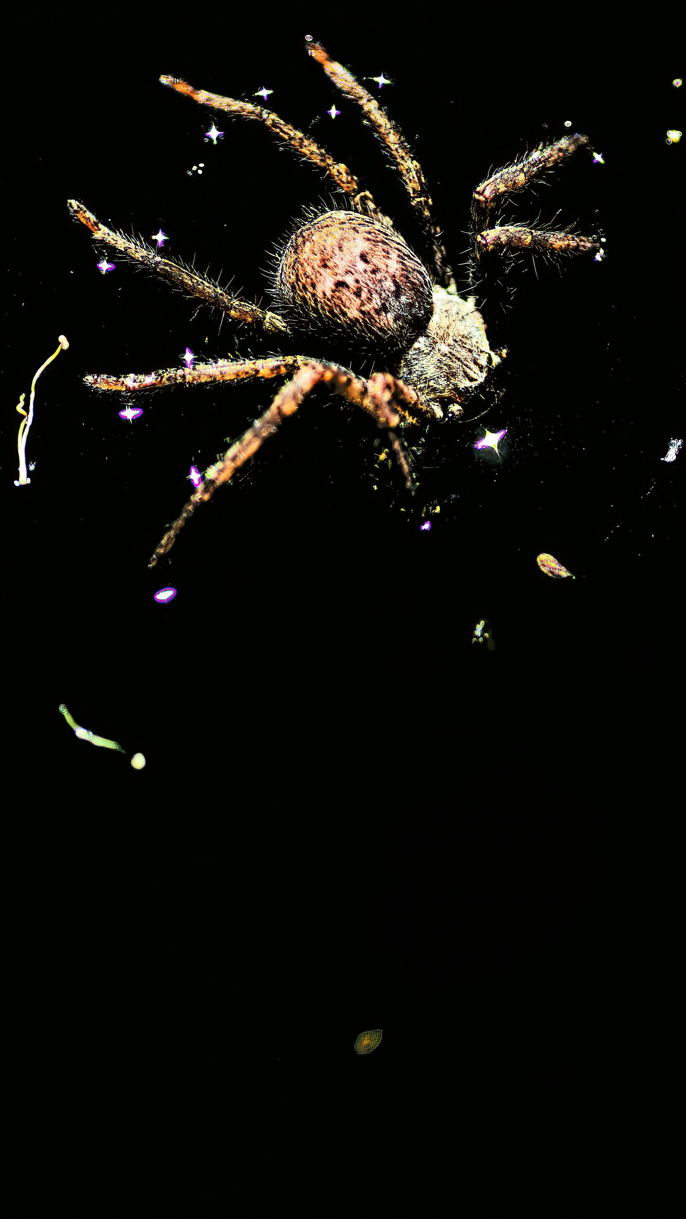 Elliot Connor - Fotografía