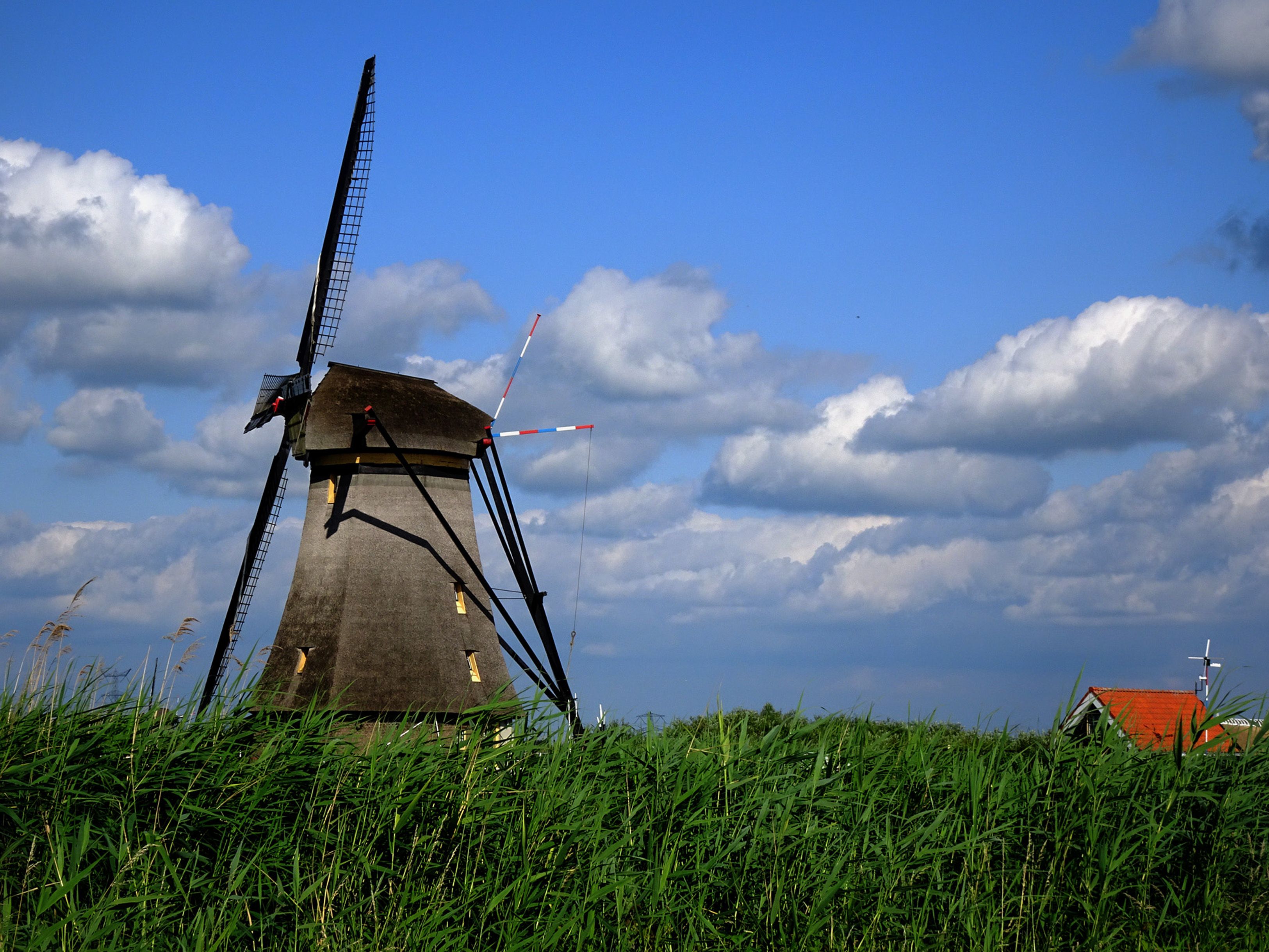 Brown and Gray Windmill Beside Green Tree Under Blue Cloudy Sky during ...