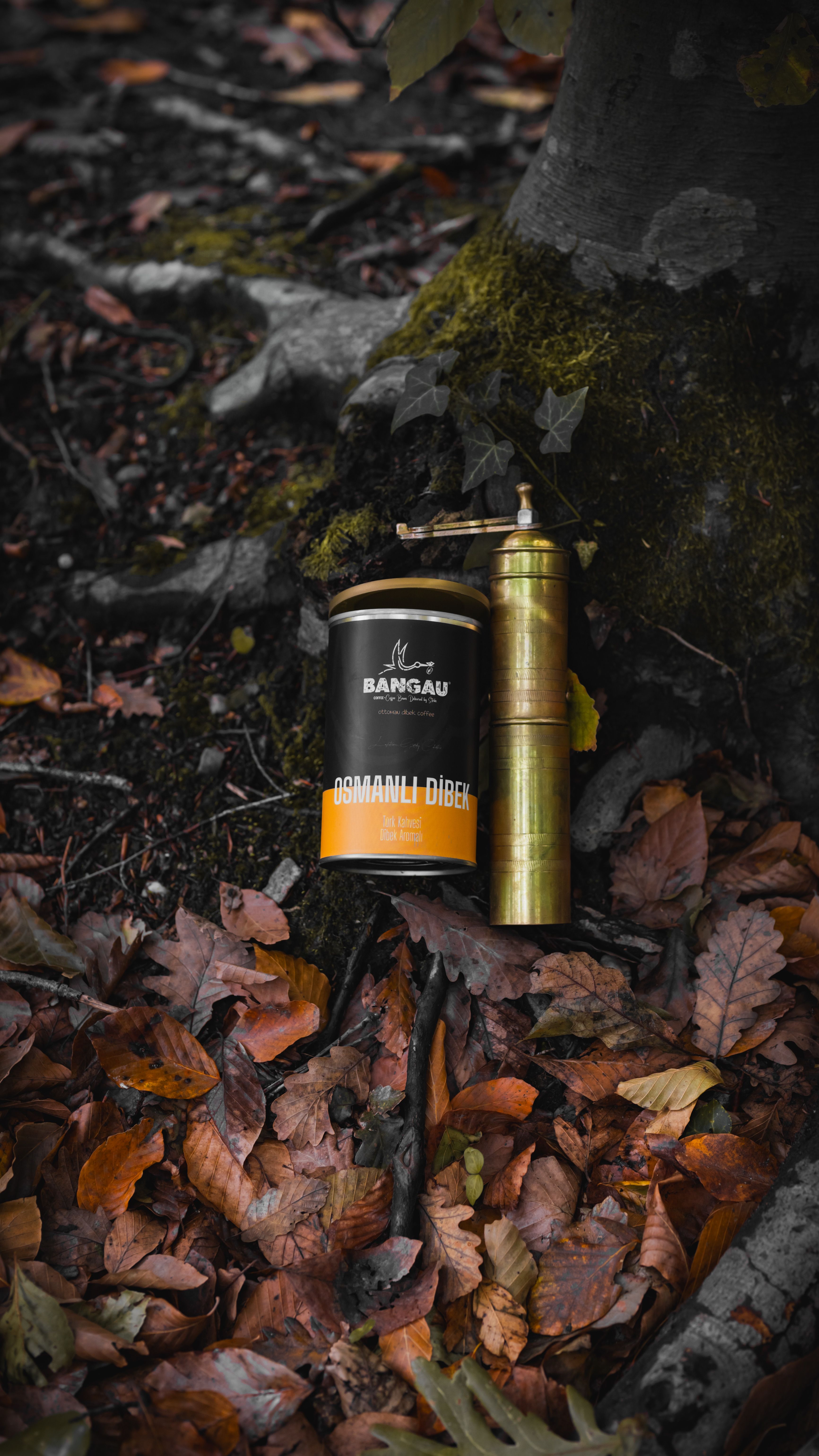 Can. Photos, Download The BEST Free Can. Stock Photos & HD Images