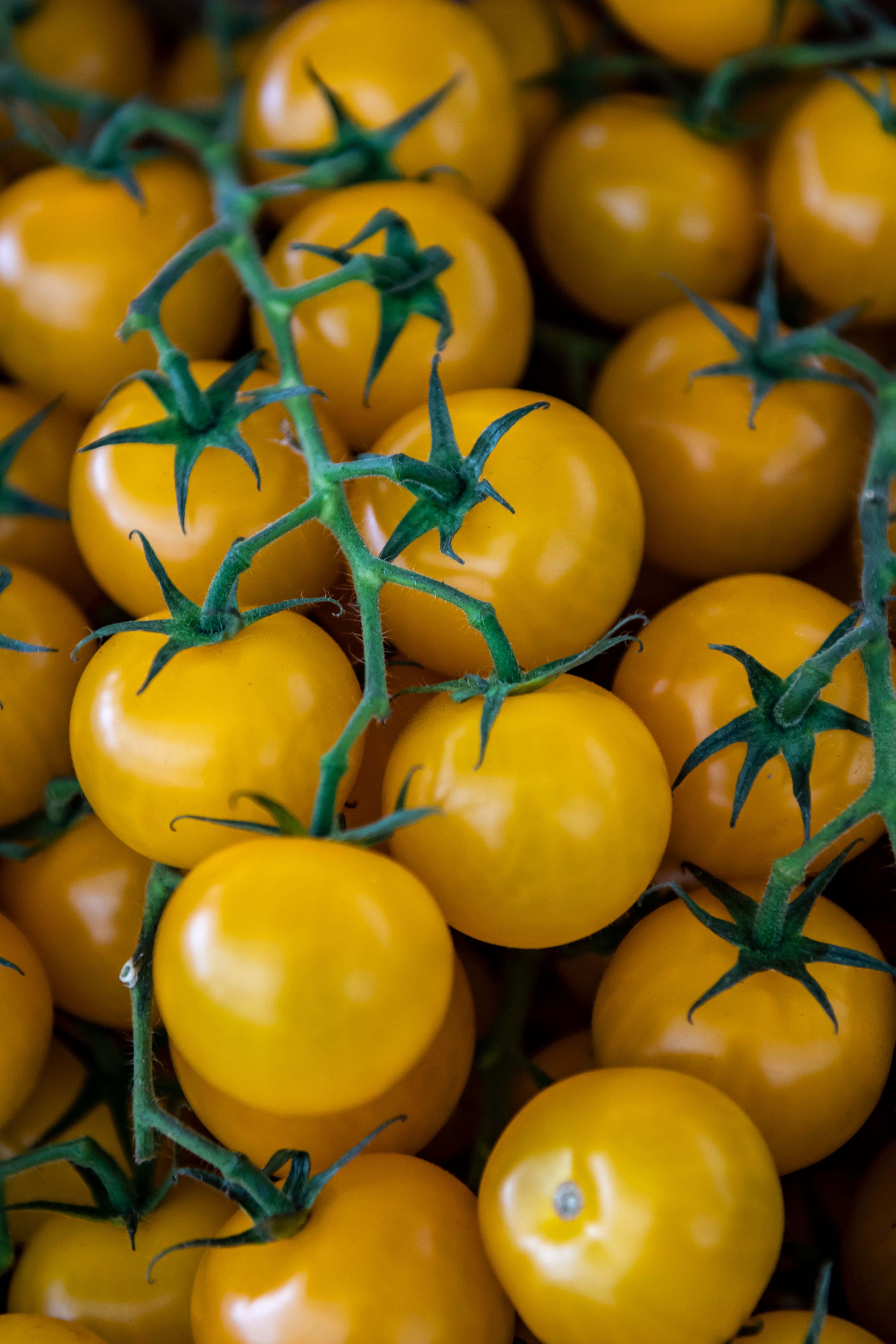 Close-up of Tomatoes on Wooden Table · Free Stock Photo