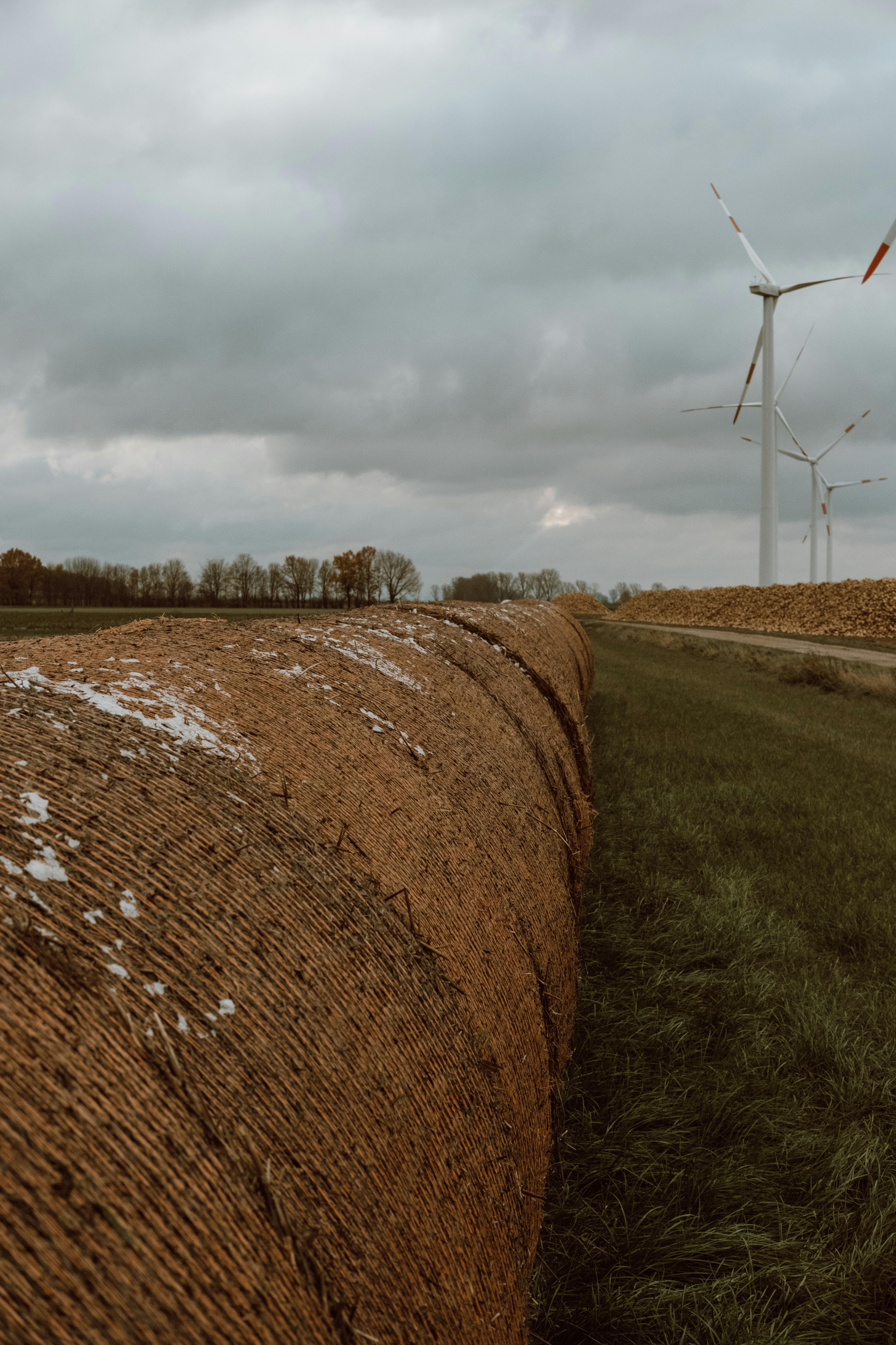 Scenic View of Agricultural Field Against Sky during Sunset · Free ...