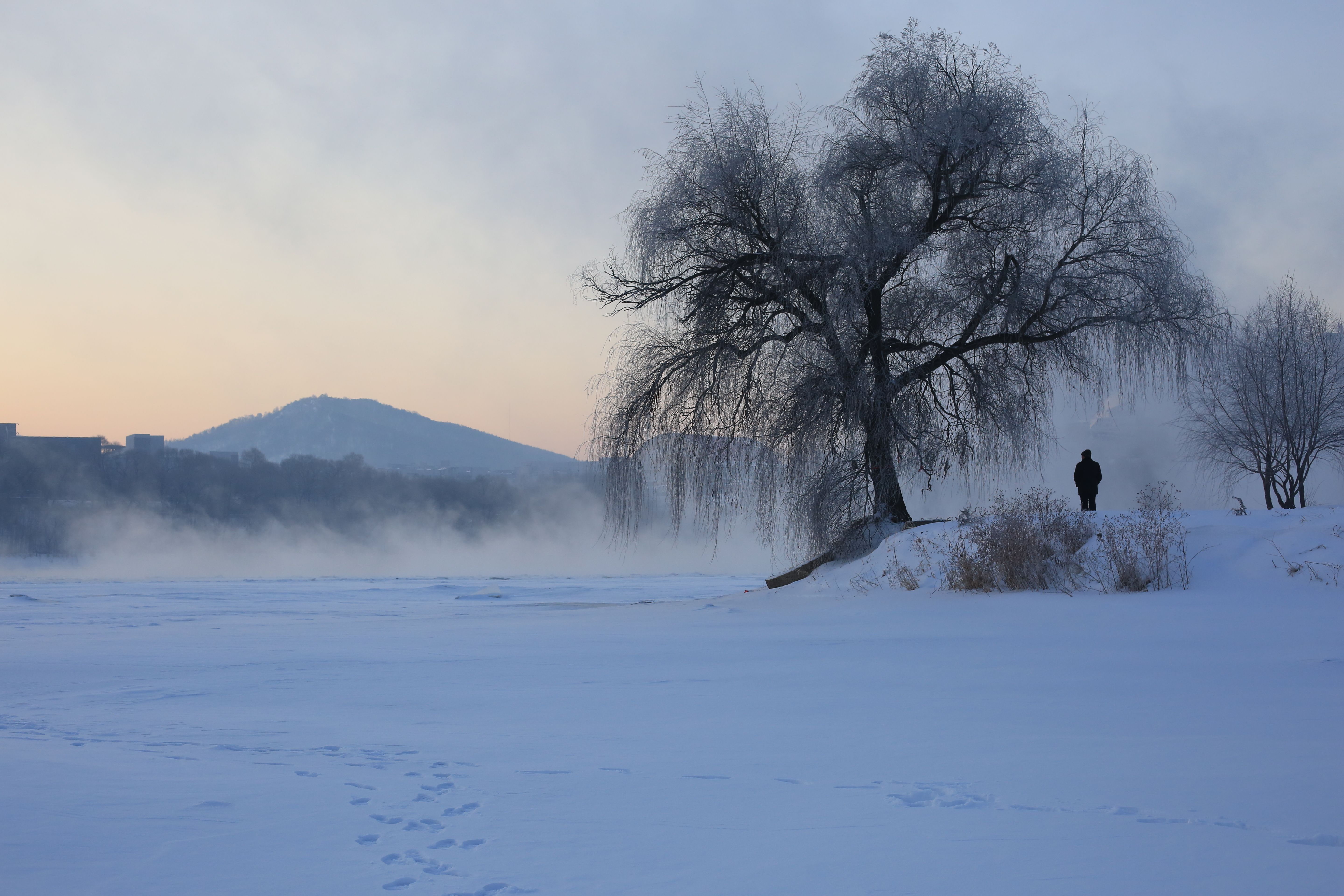 272.977+ Fotos y Imágenes de Paisaje frio Gratis · Banco de Fotos Gratis