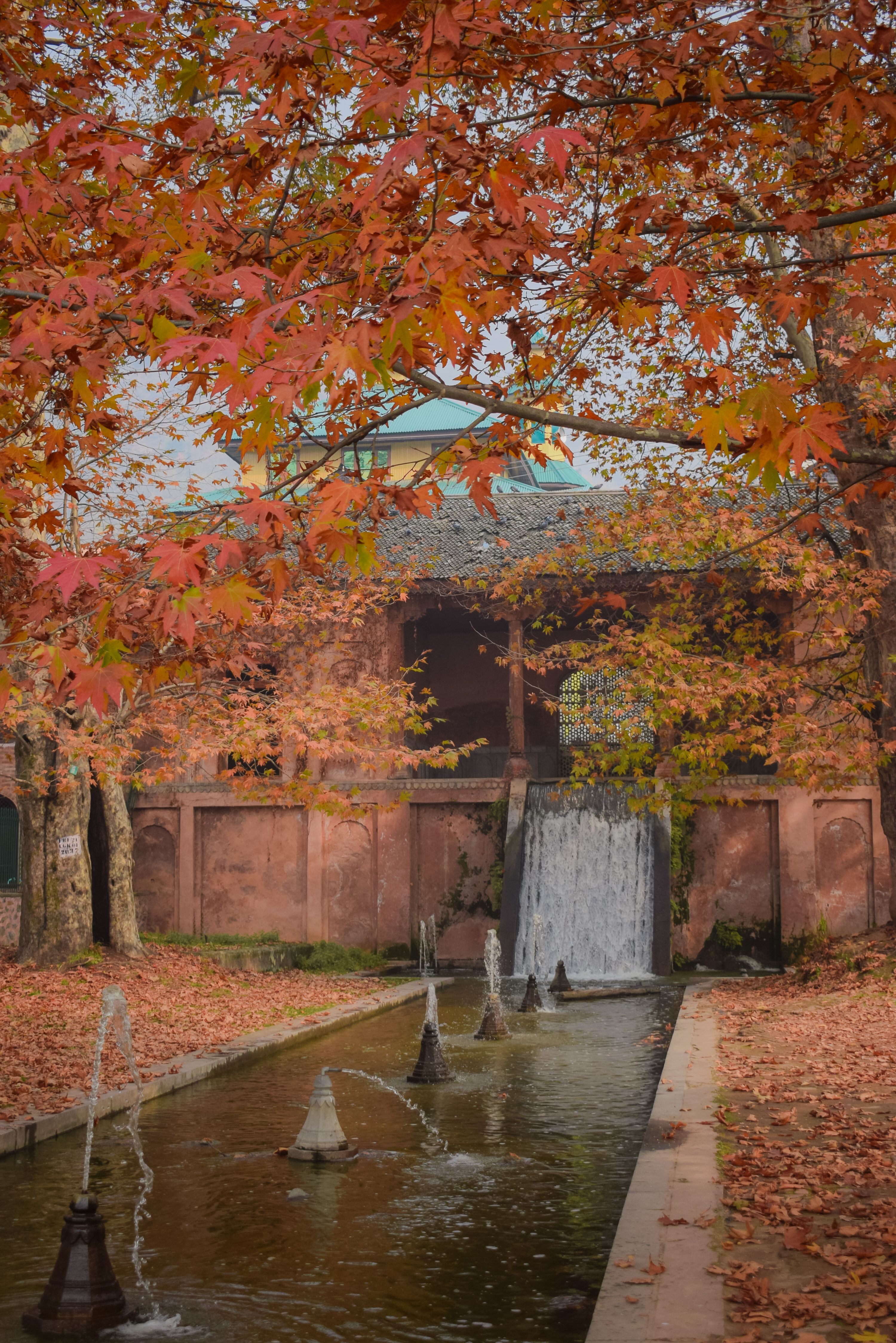 Autumn Leaves over Water and Fountains in Park · Free Stock Photo