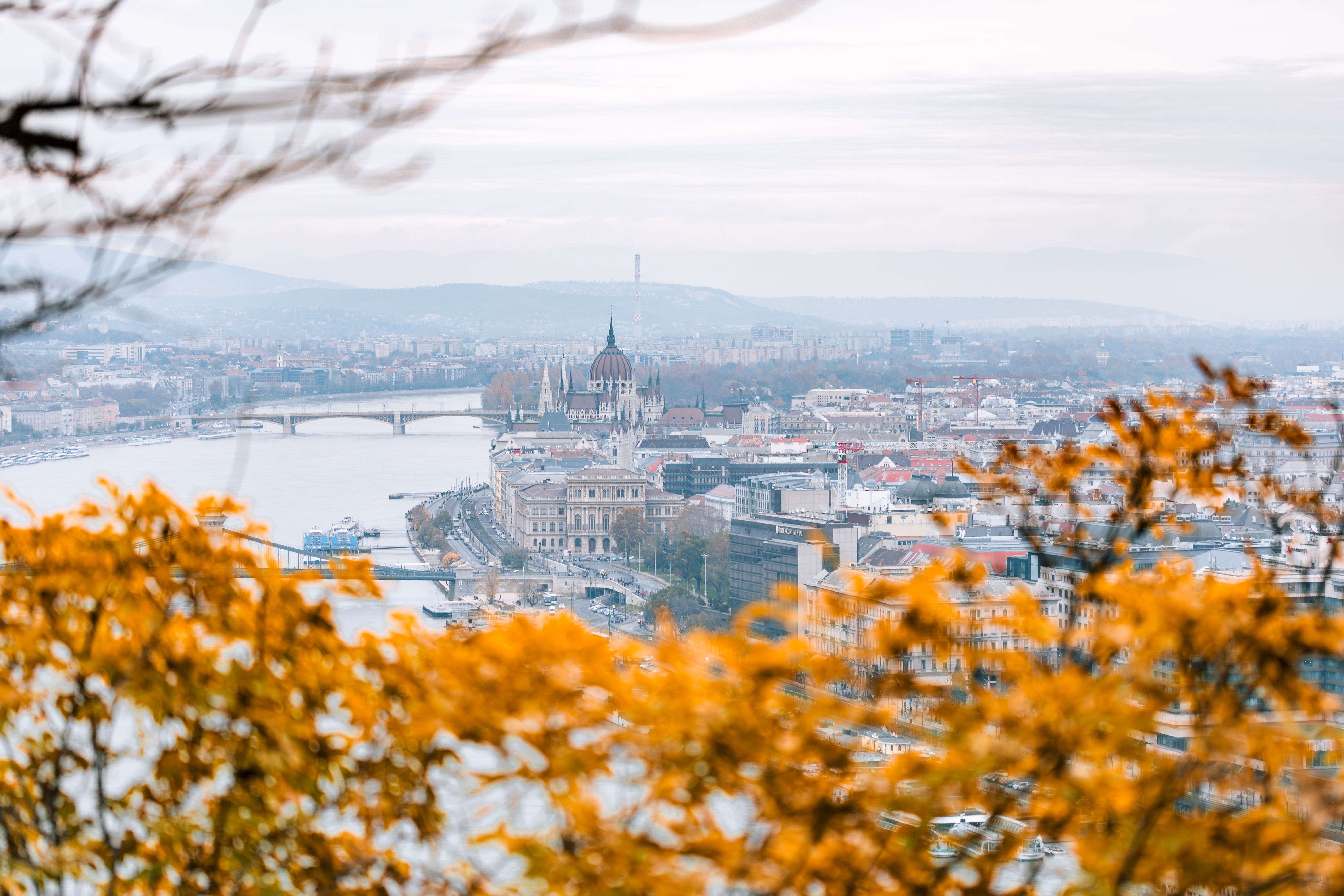 Panoramic View of Budapest from behind Autumnal Trees · Free Stock Photo
