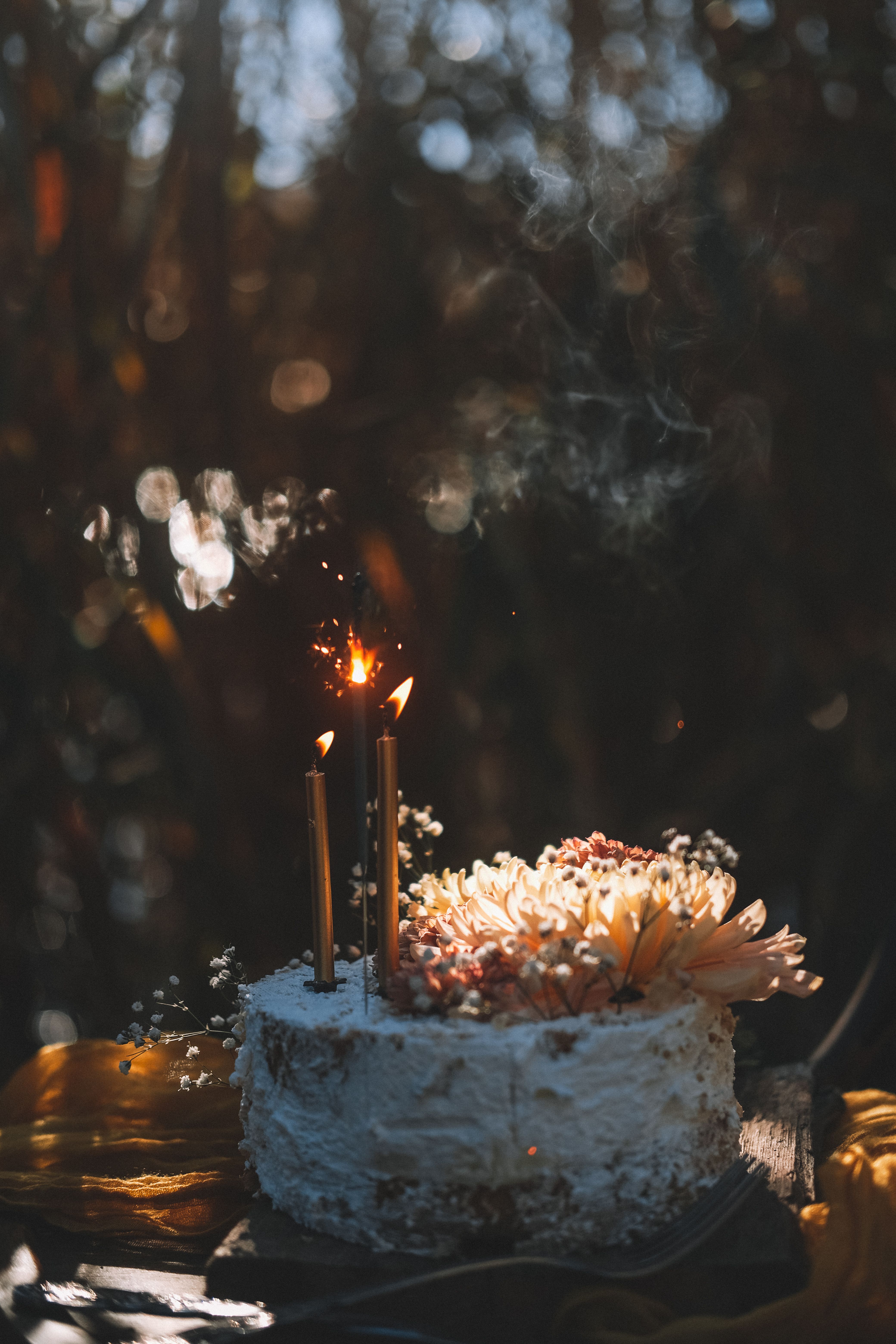 Cake with Sparkler and Candles · Free Stock Photo