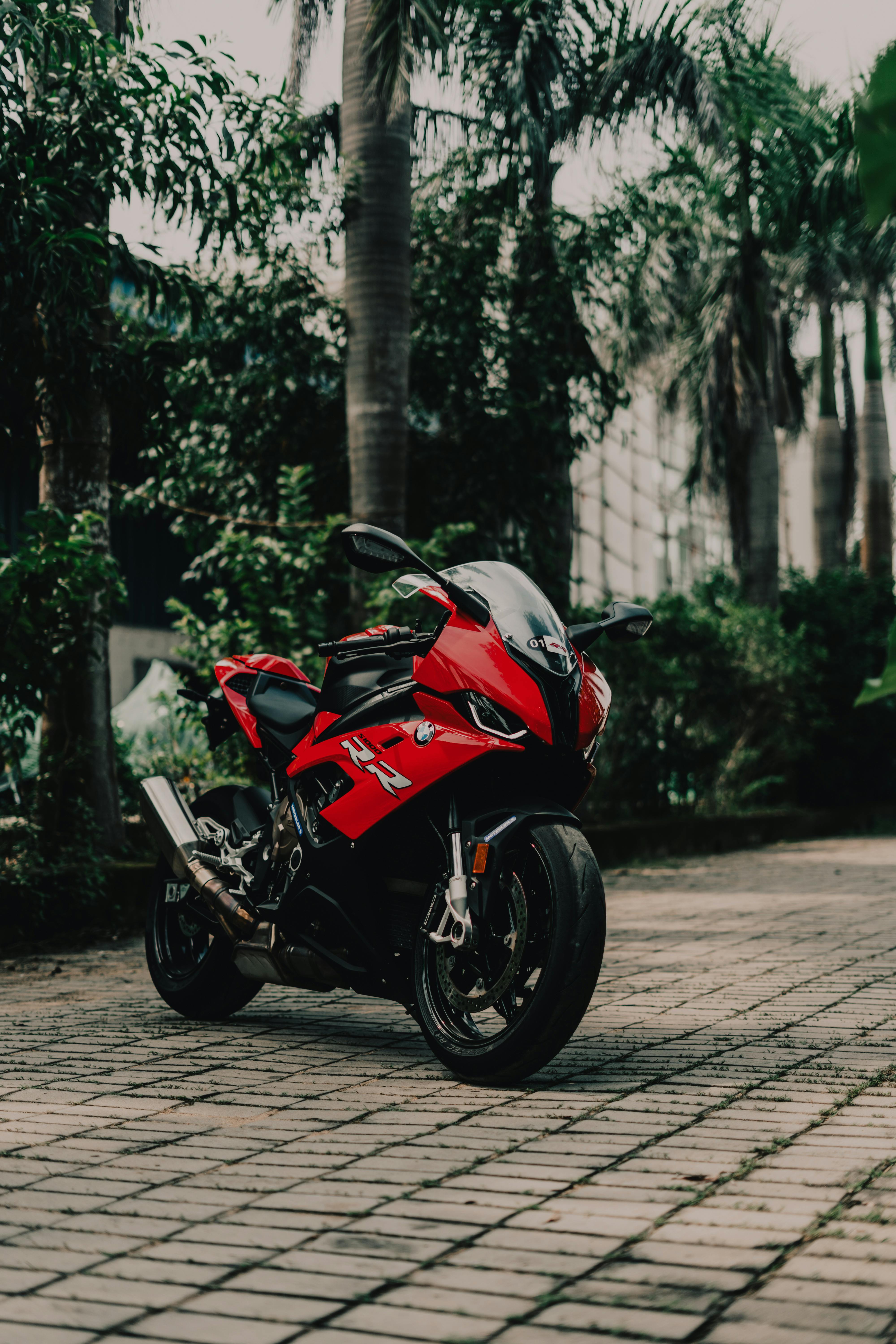 Valensiya S Photos, Download The BEST Free Valensiya S Stock Photos ...