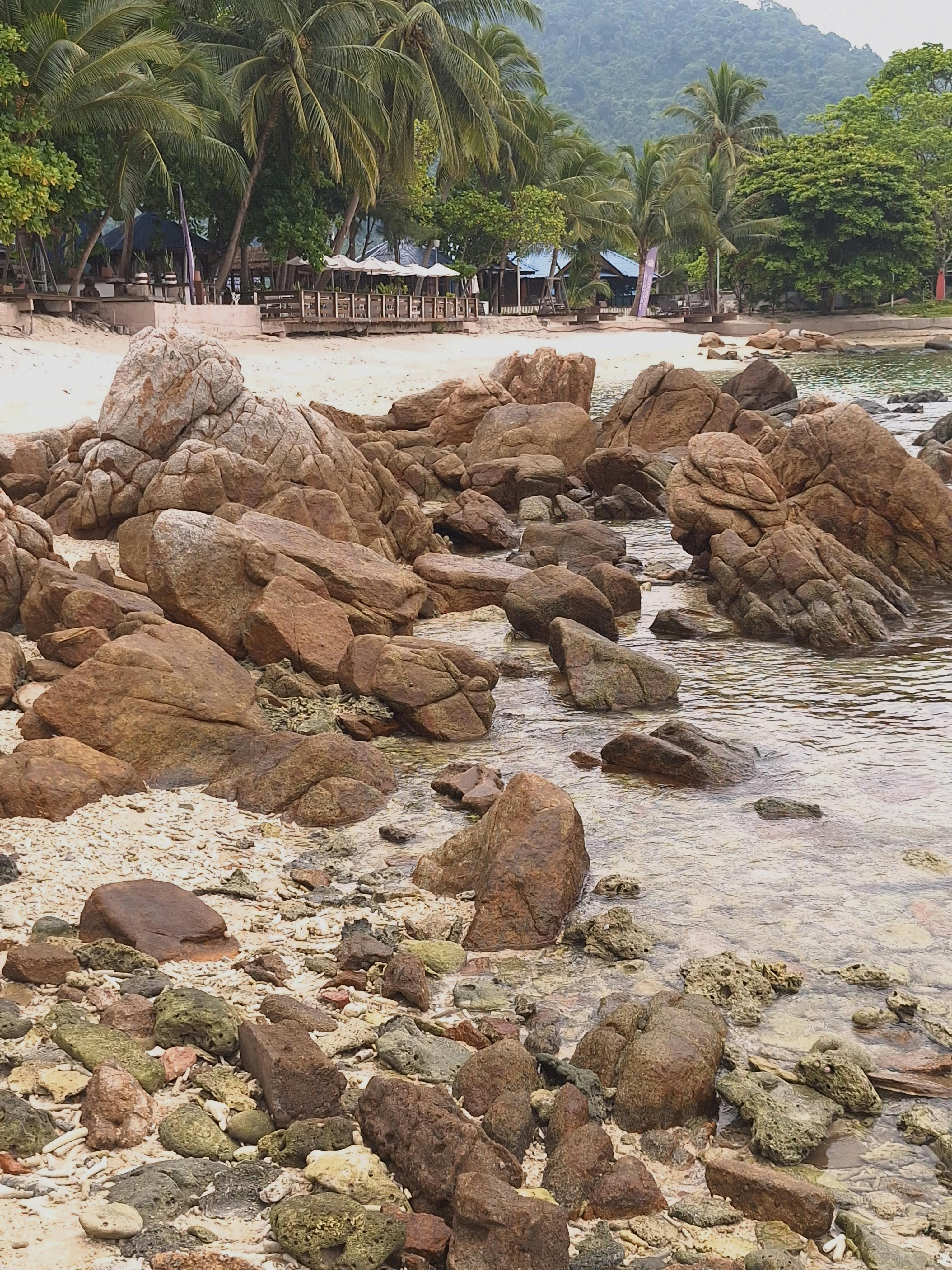 Tropical Nepal Photos, Download The BEST Free Tropical Nepal Stock ...