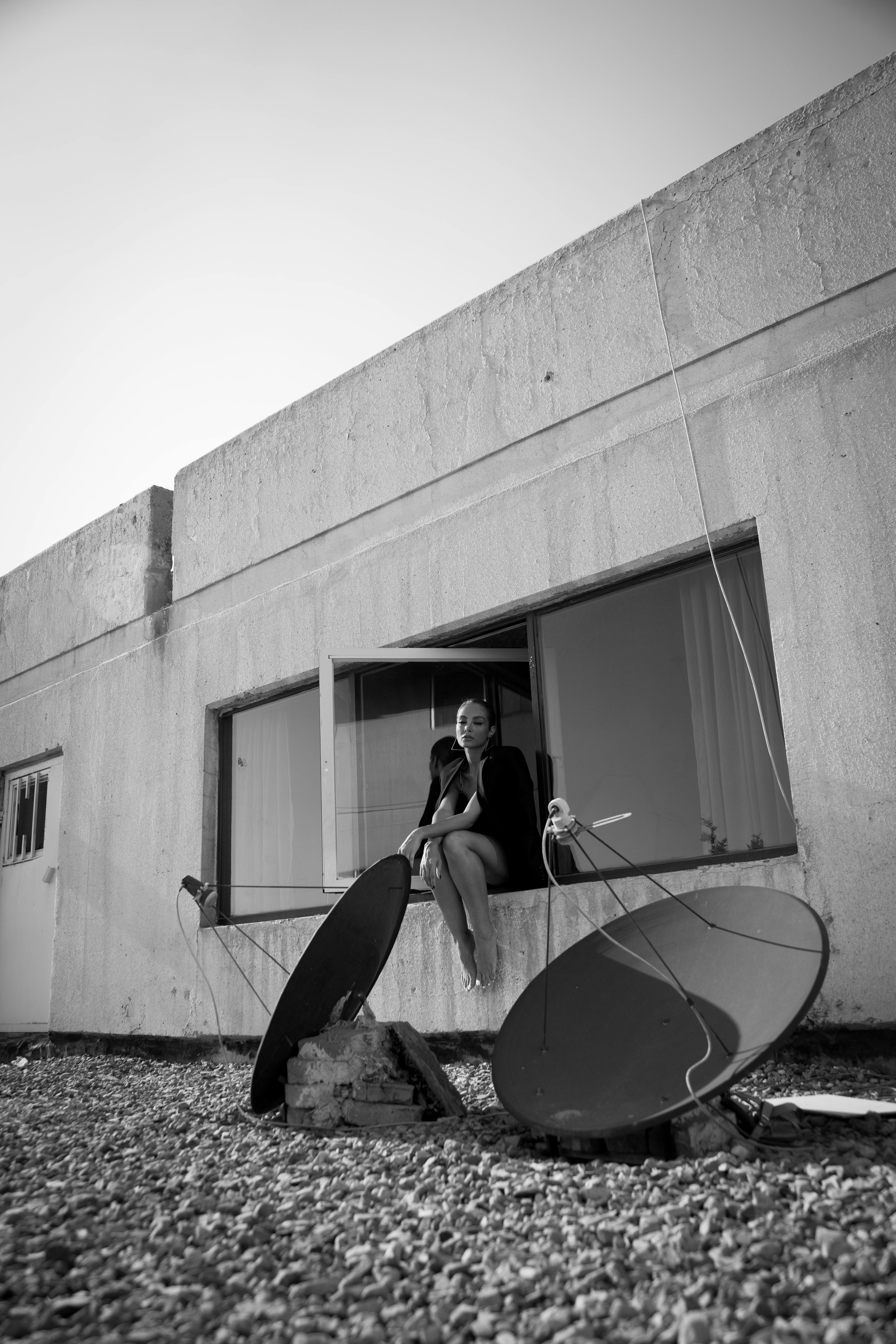 Portrait of a Swallow · Free Stock Photo