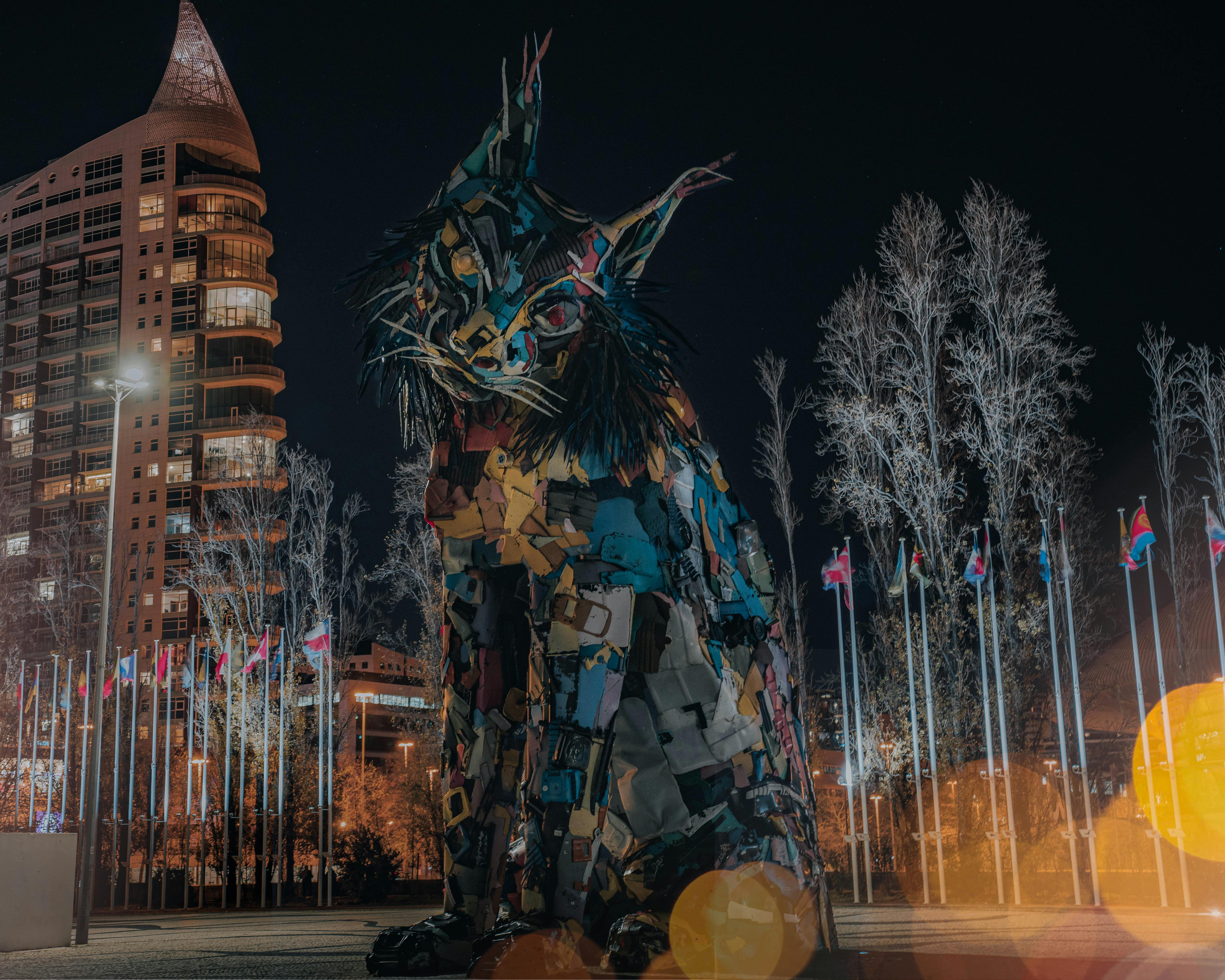 Cat Square Photos, Download The BEST Free Cat Square Stock Photos & HD ...