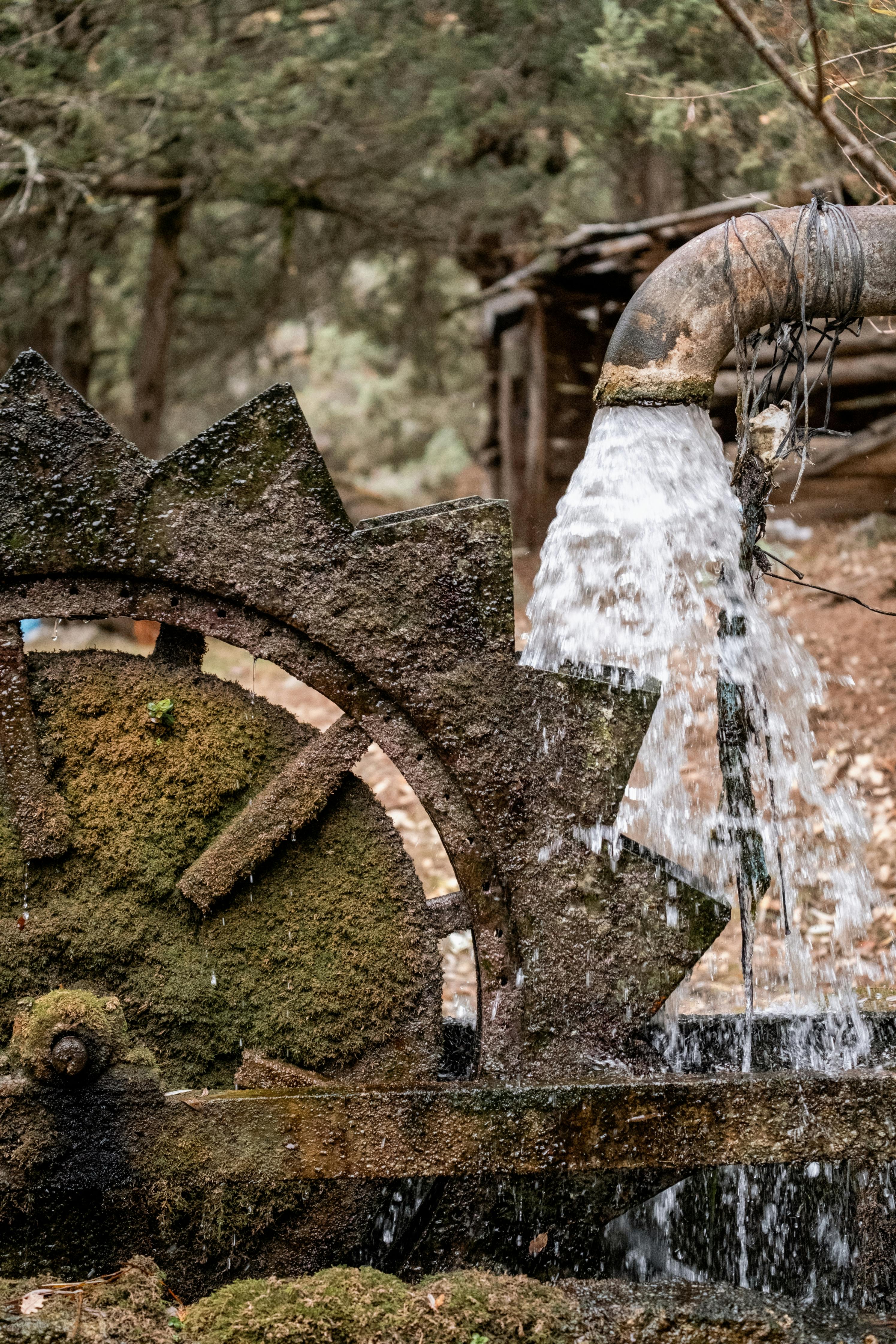 Memetik Rust Photos, Download The BEST Free Memetik Rust Stock Photos ...