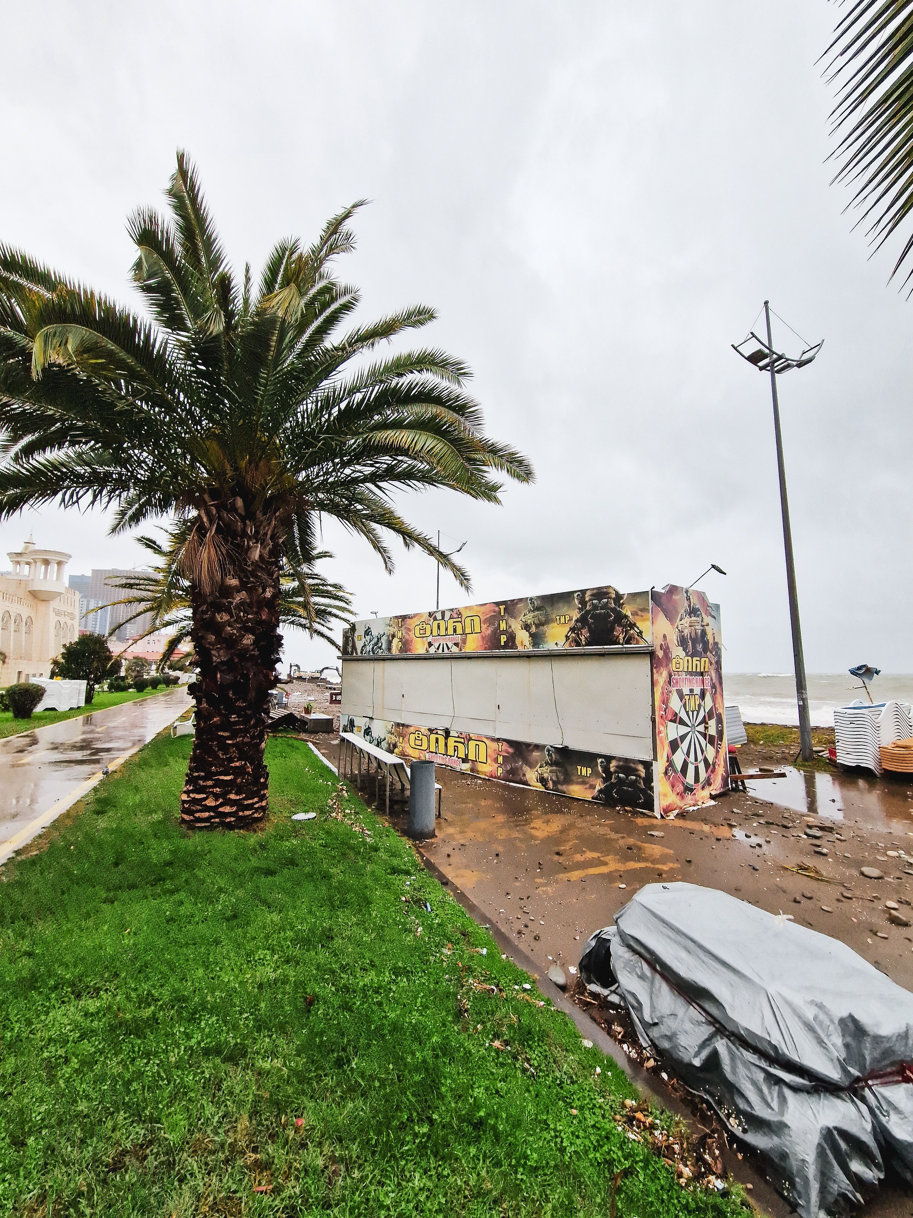 Destruction after Hurricane · Free Stock Photo