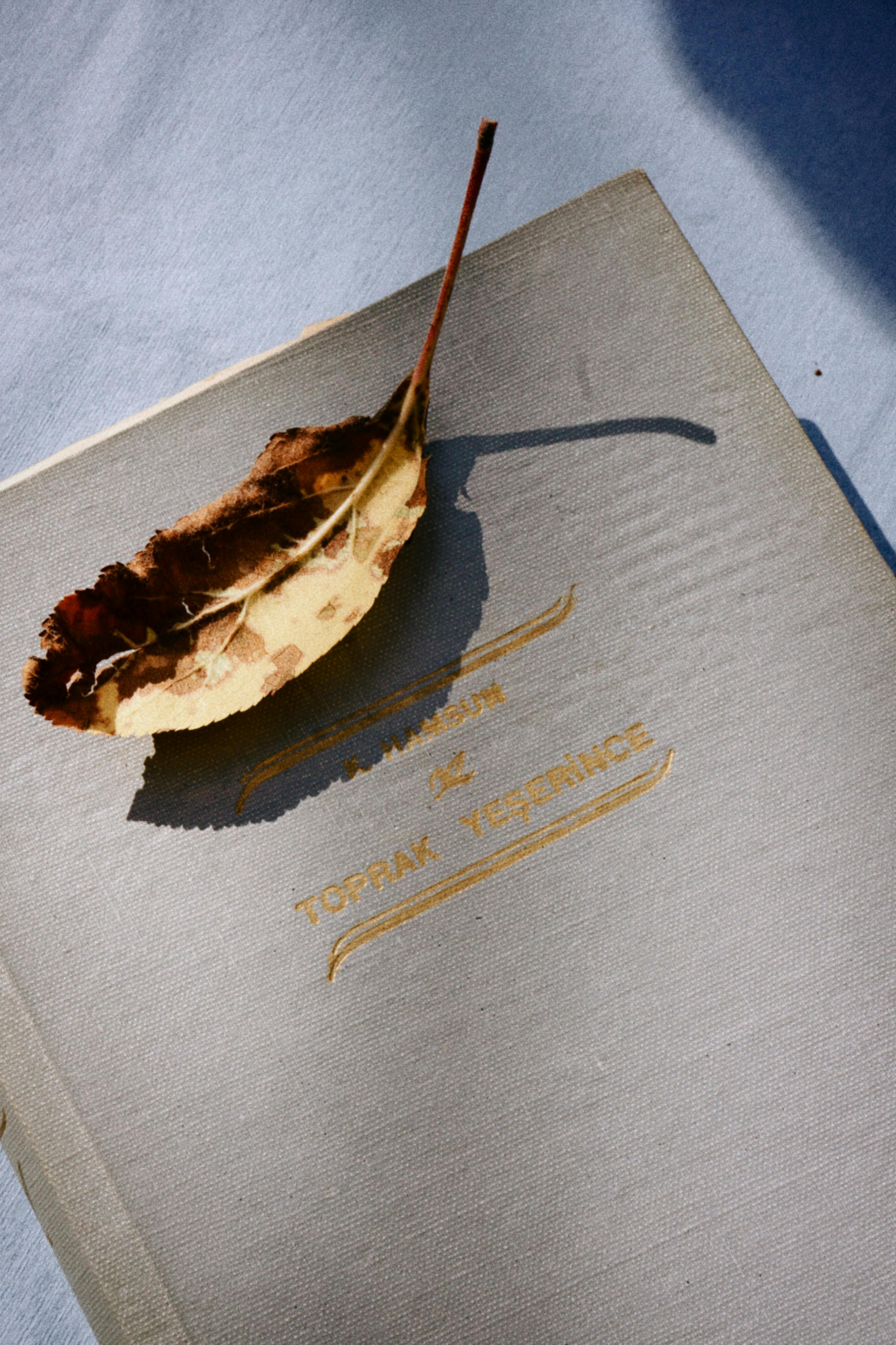 Red Leaf on Book · Free Stock Photo